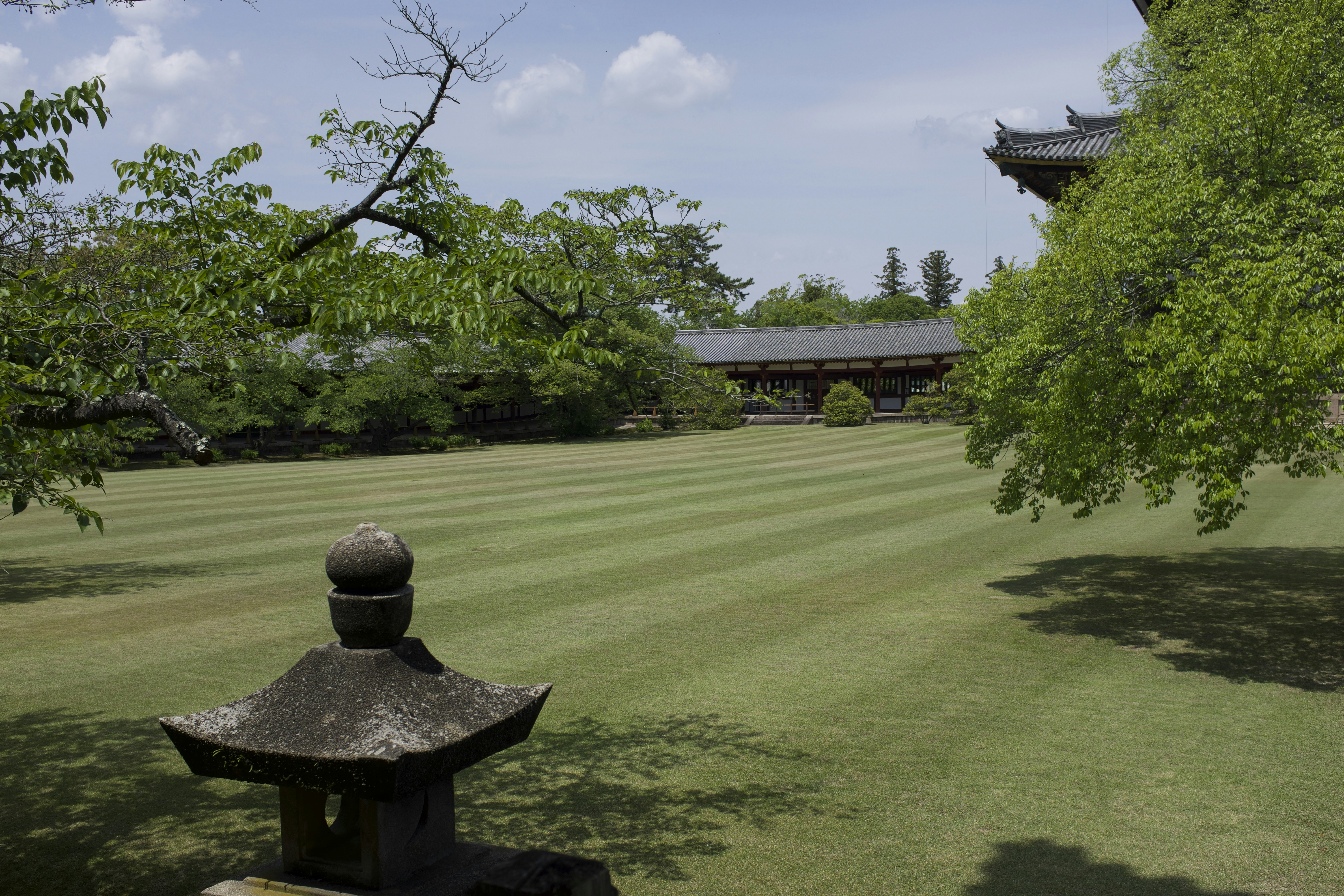 Zen Lawn: Long Shadows and a Hidden Pavilion