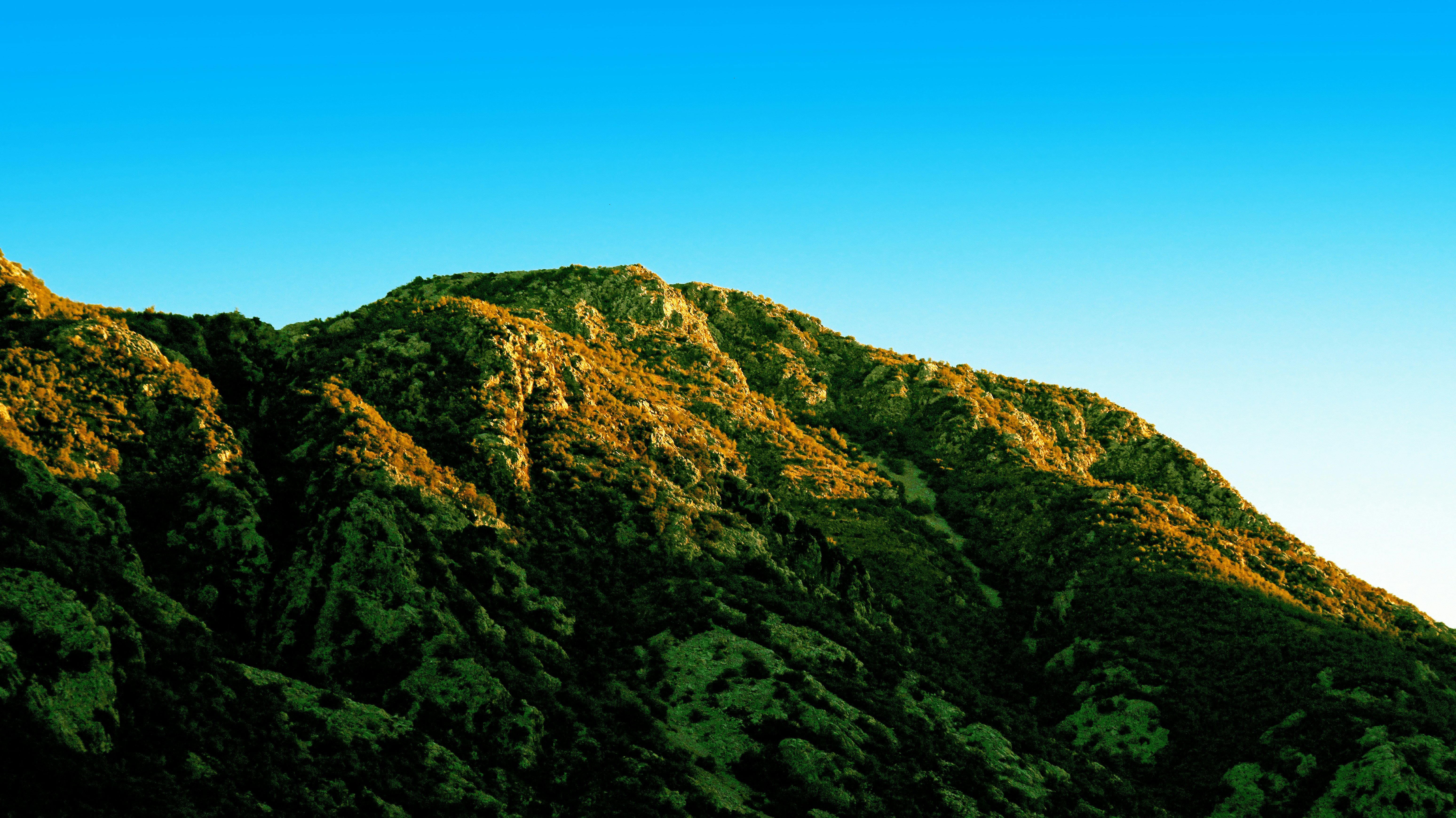Sunlit Ridge: A Quiet Autumn of Shadows and Sky