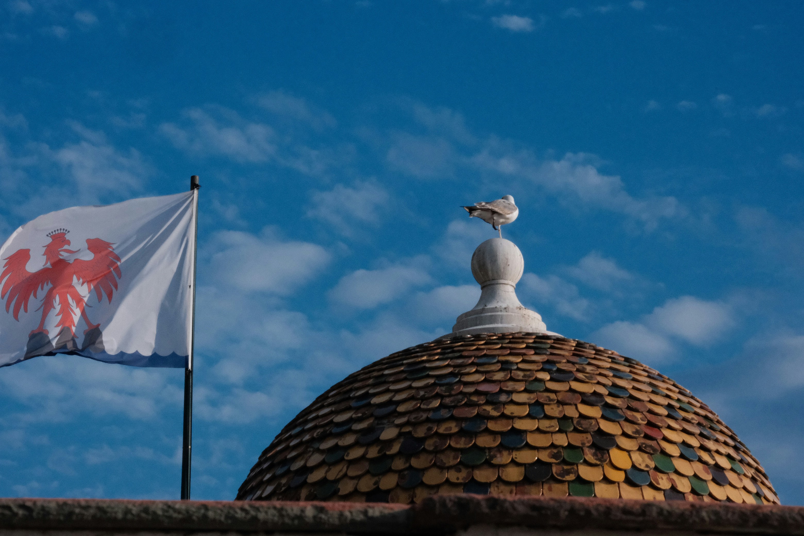 Seaborned Dome: A Seagull Perches at a Multicolored Tile Crest