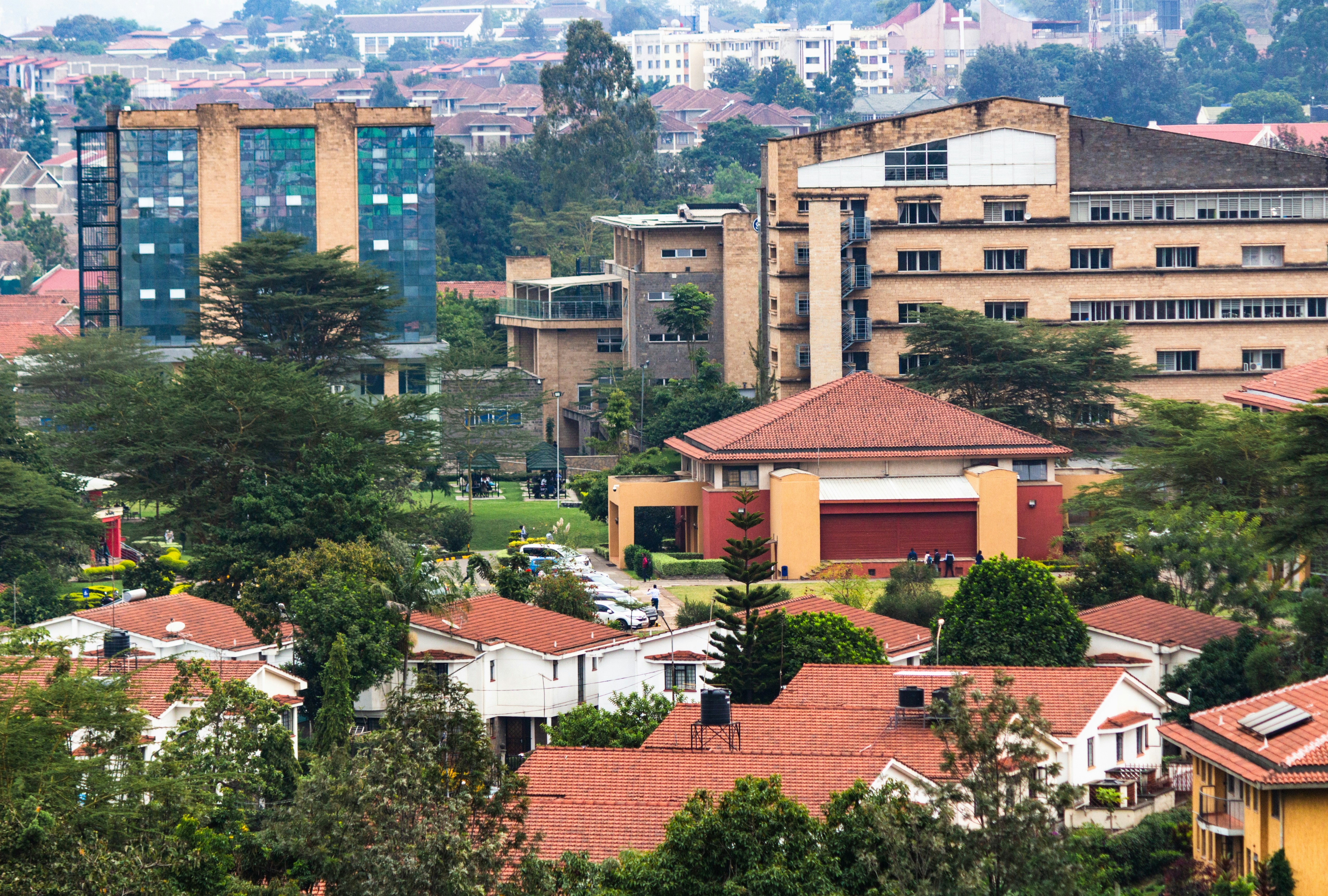 Urban Campus Between Rooftops and Trees
