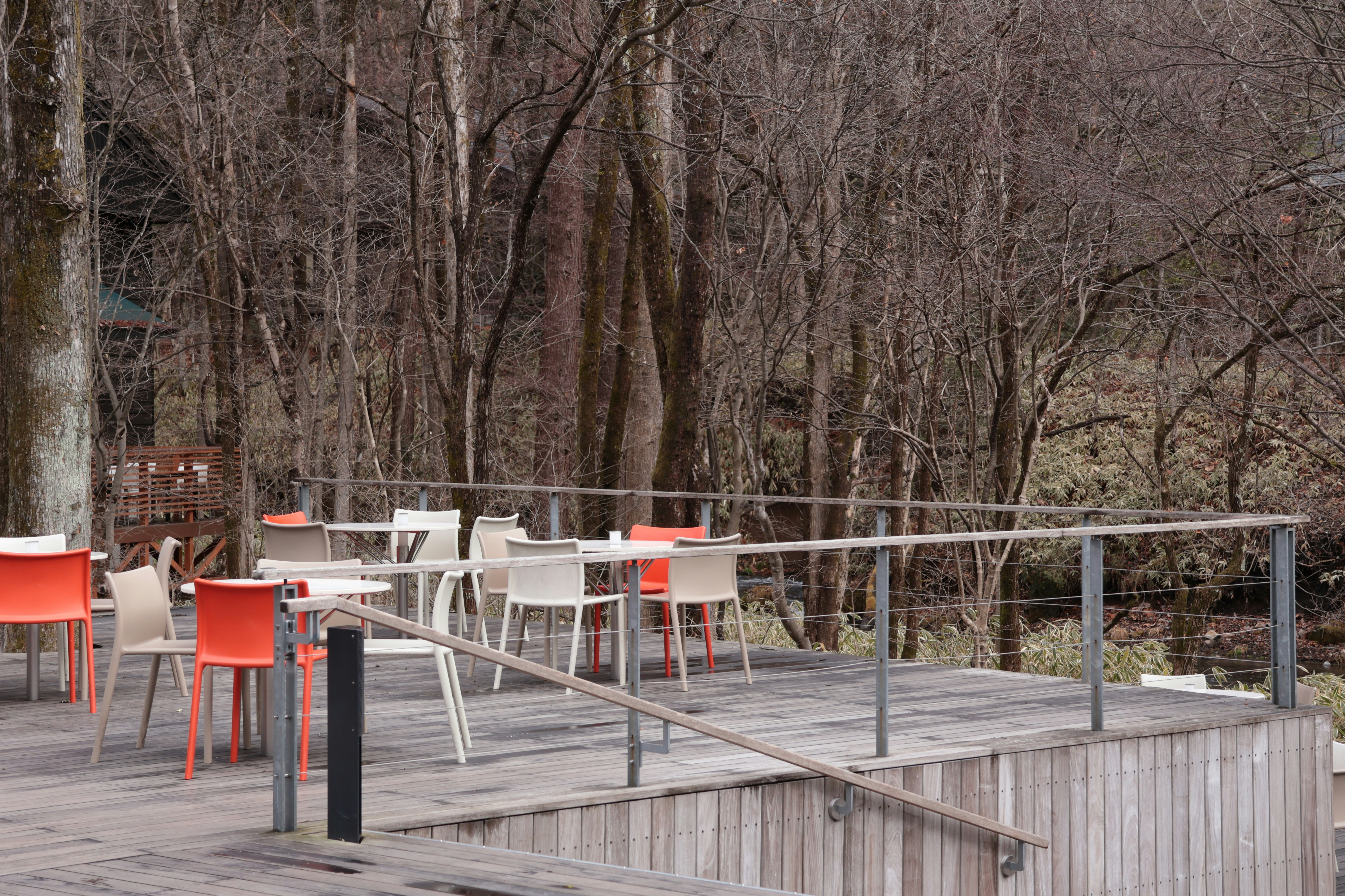 Empty Terrace of Colorful Chairs Overlooking a Winter Forest
