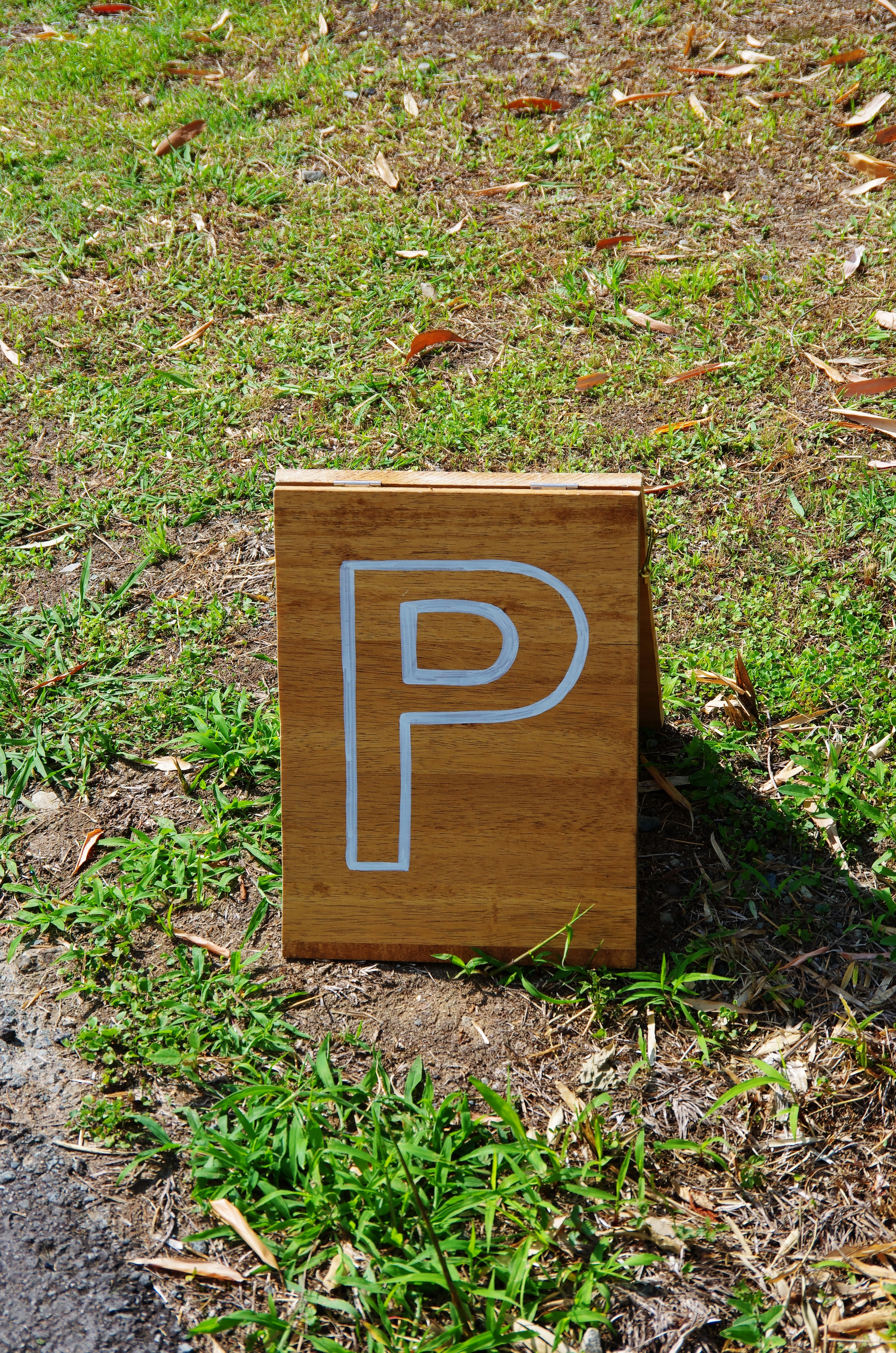 Wooden Parking Symbol Stands Grounded in Sunlit Patch