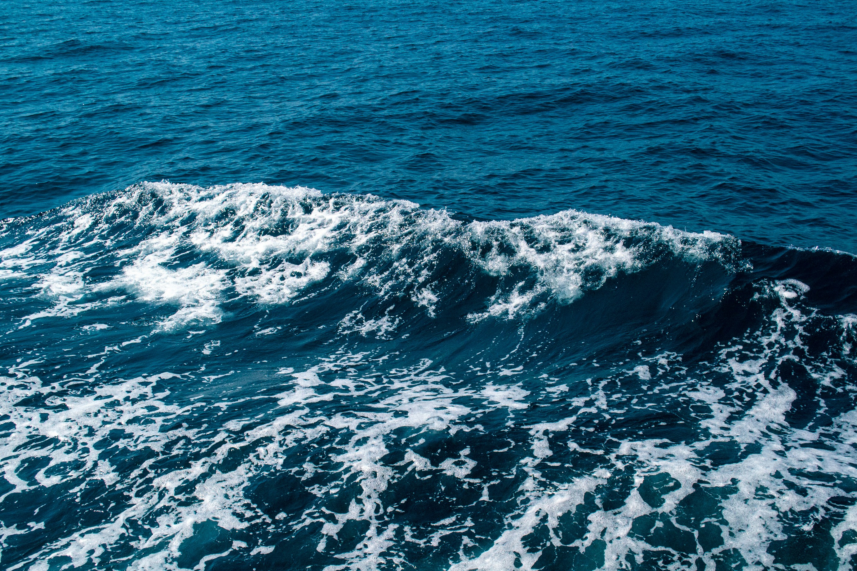 Cresting Atlantic Wave: A Moment of Blue and Foam