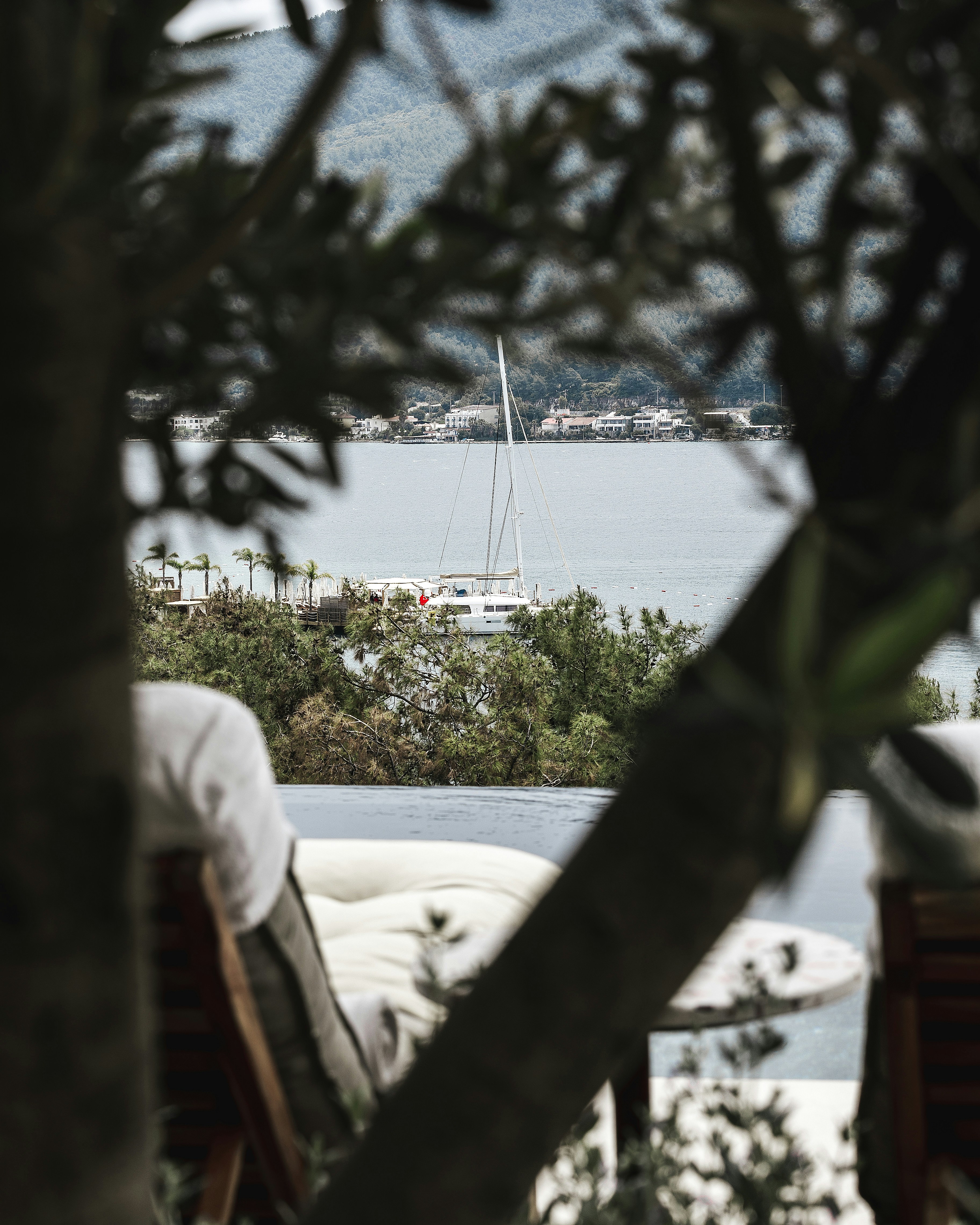 Framed by Ferns: A Quiet Marina View Beyond a Vessel