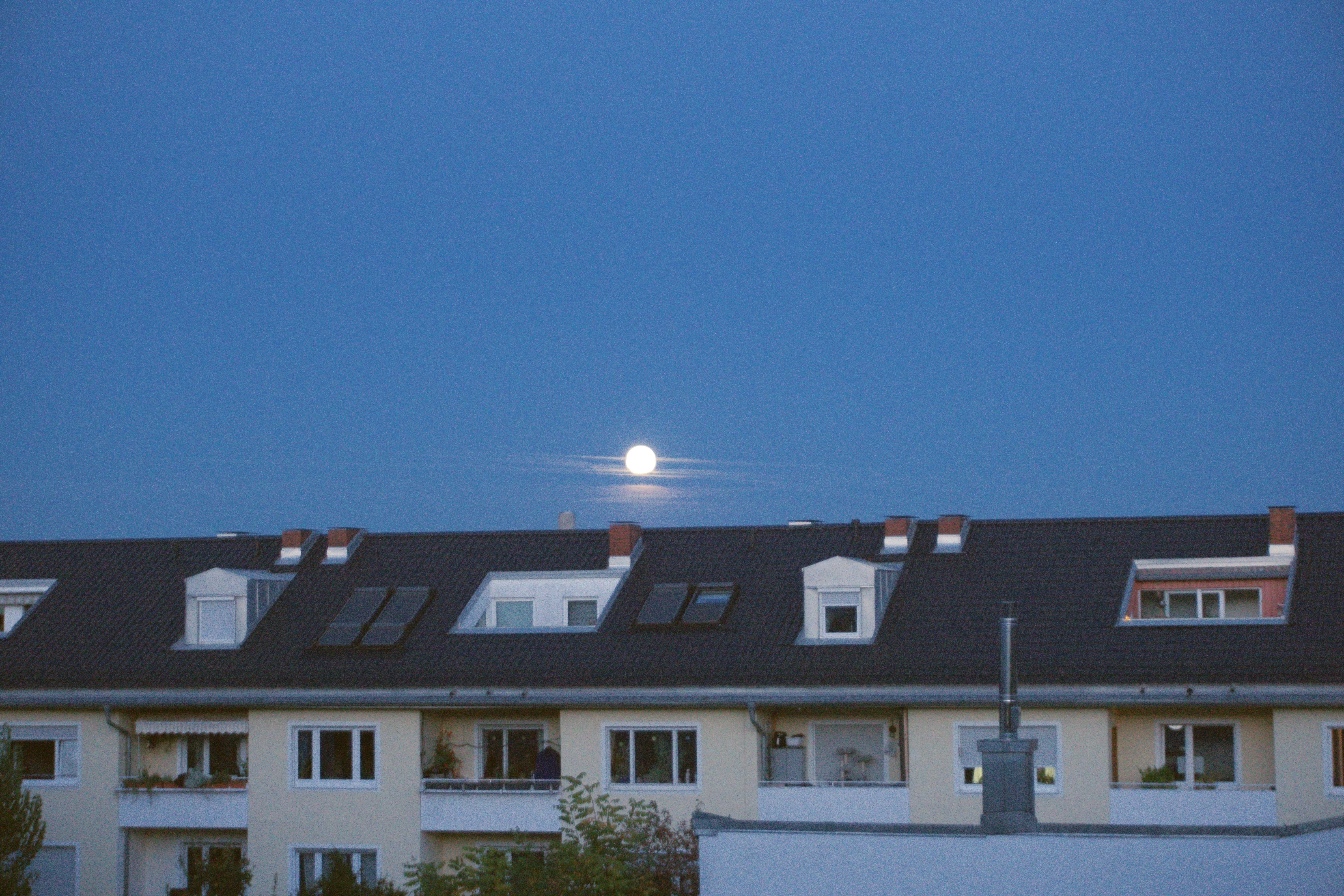 Moonrise over a Quiet Rooftop Row