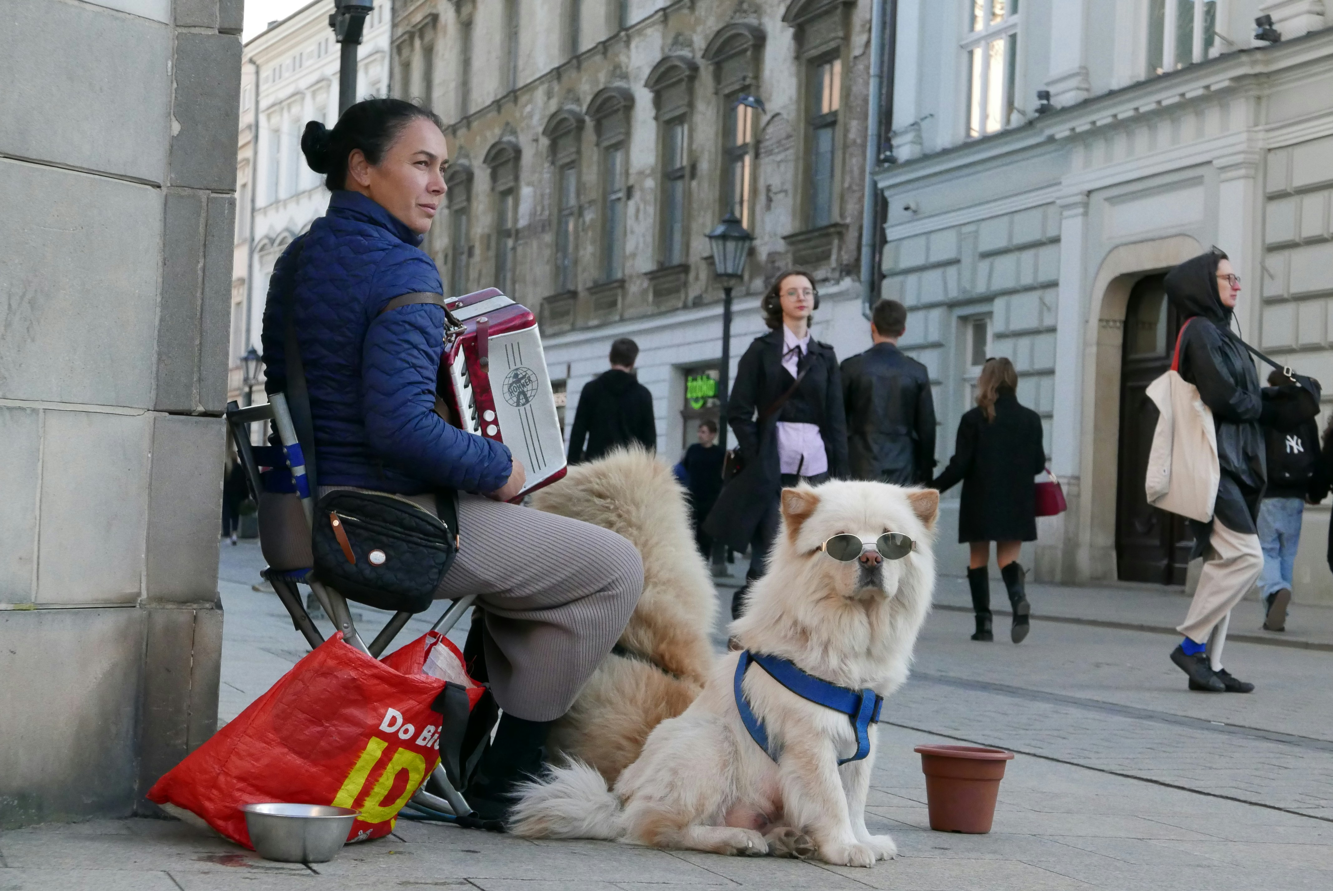 Street Melodies: A Woman with an Accordion and a Loyal White Dog