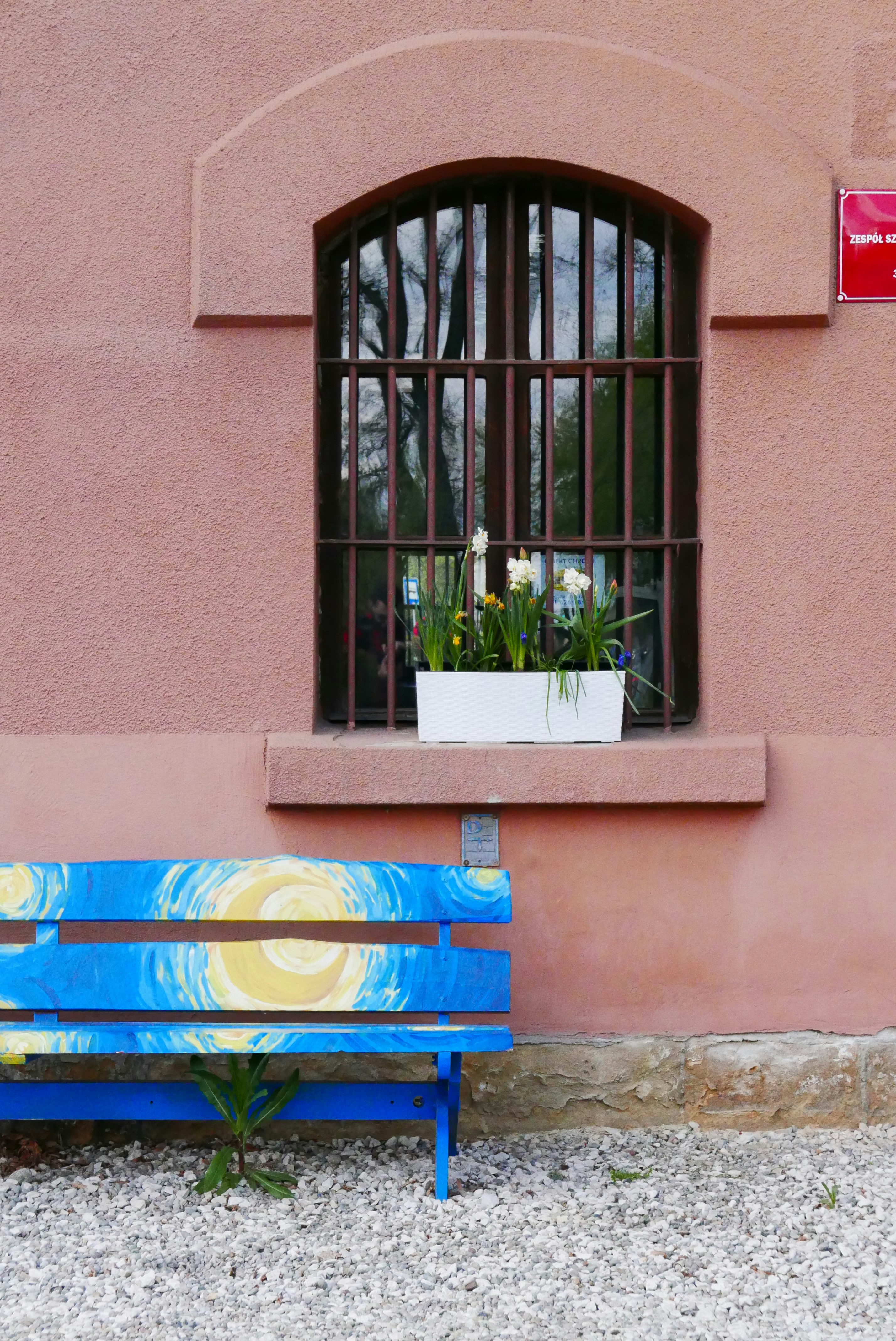 Window Box Bloom: A Quiet Block of Color by the Pink Wall