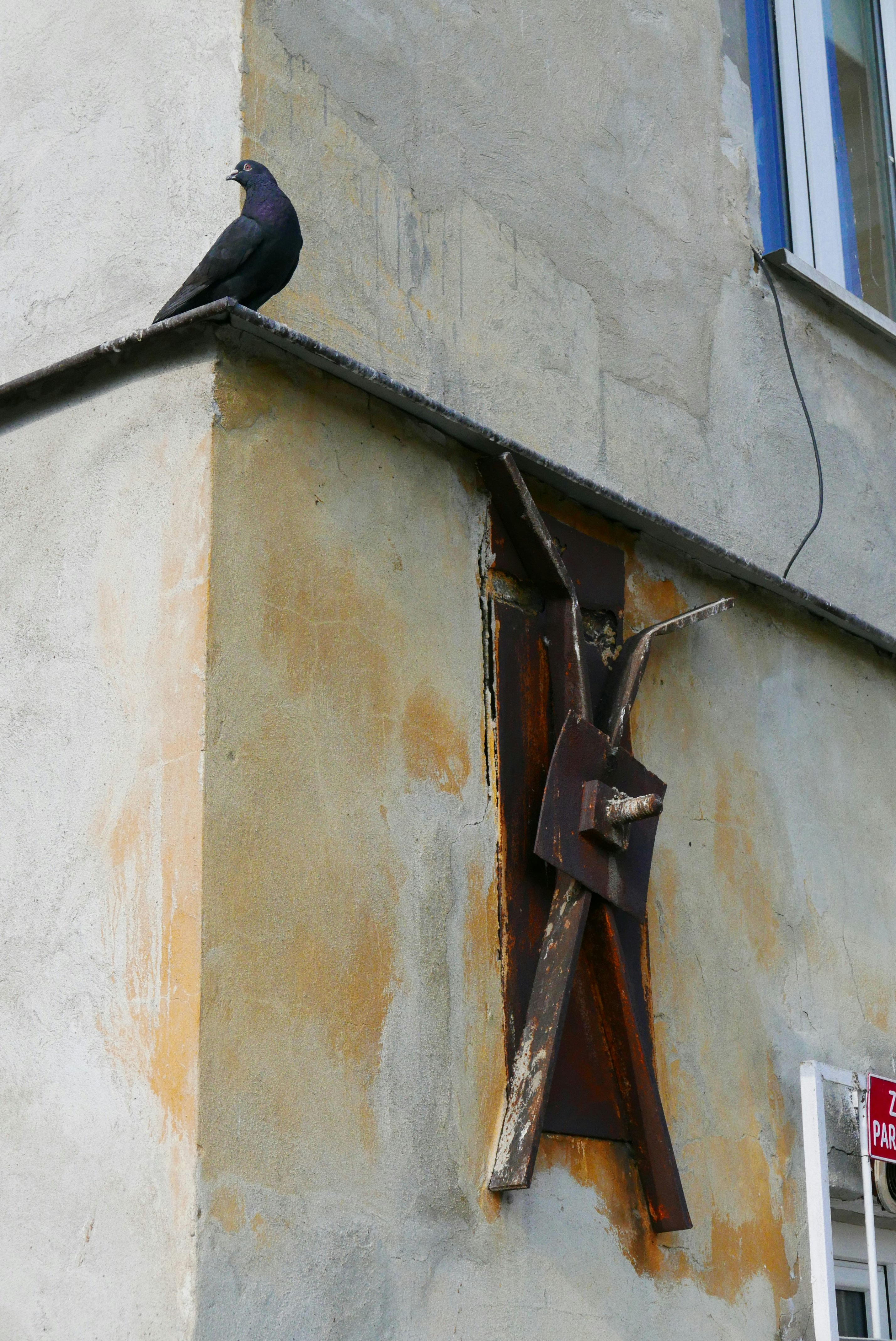 Dark pigeon on old building ledge with rusty metal bracket.