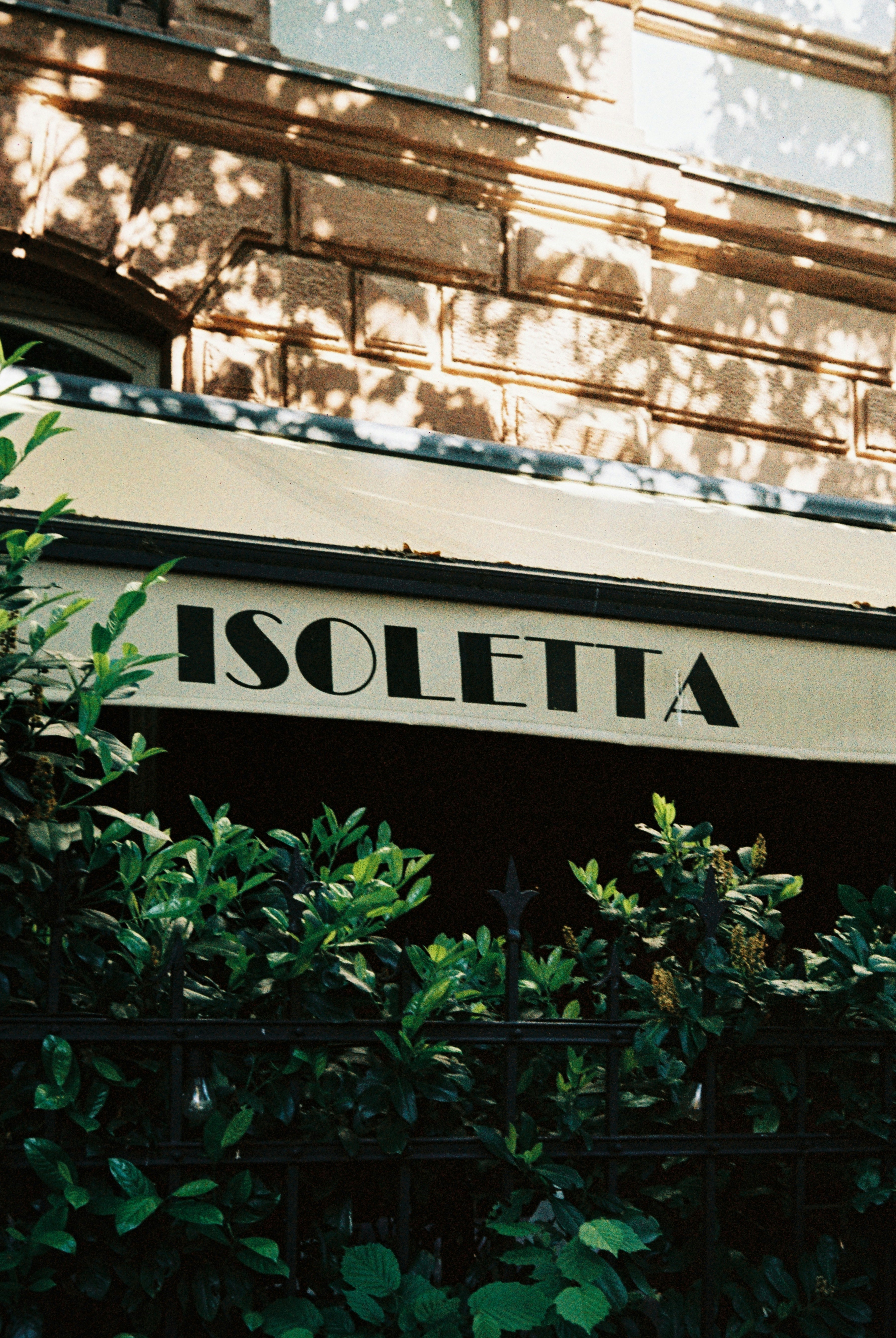Soho Sign Under Dappled Shade