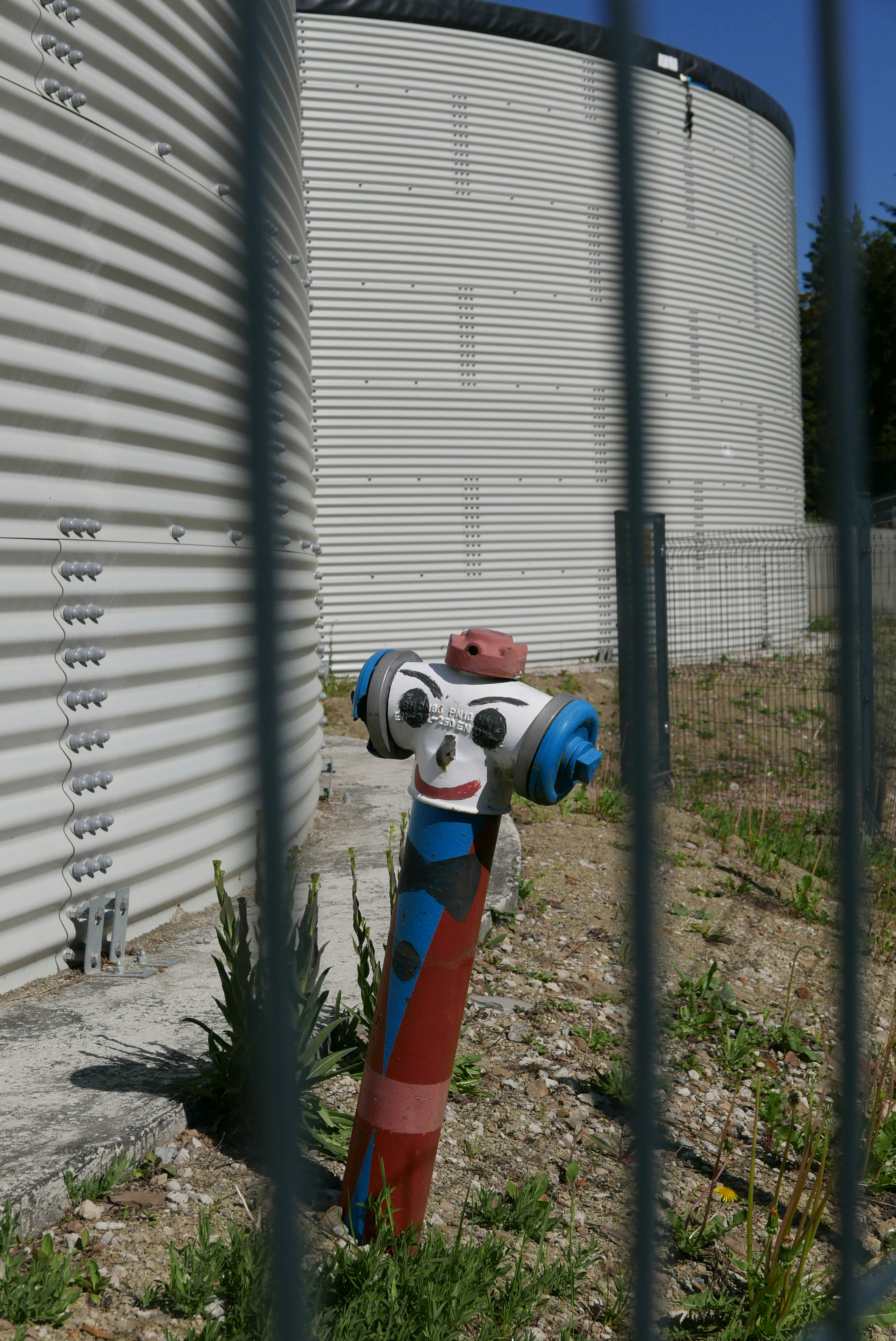 Colorful hydrant portrait through a fence