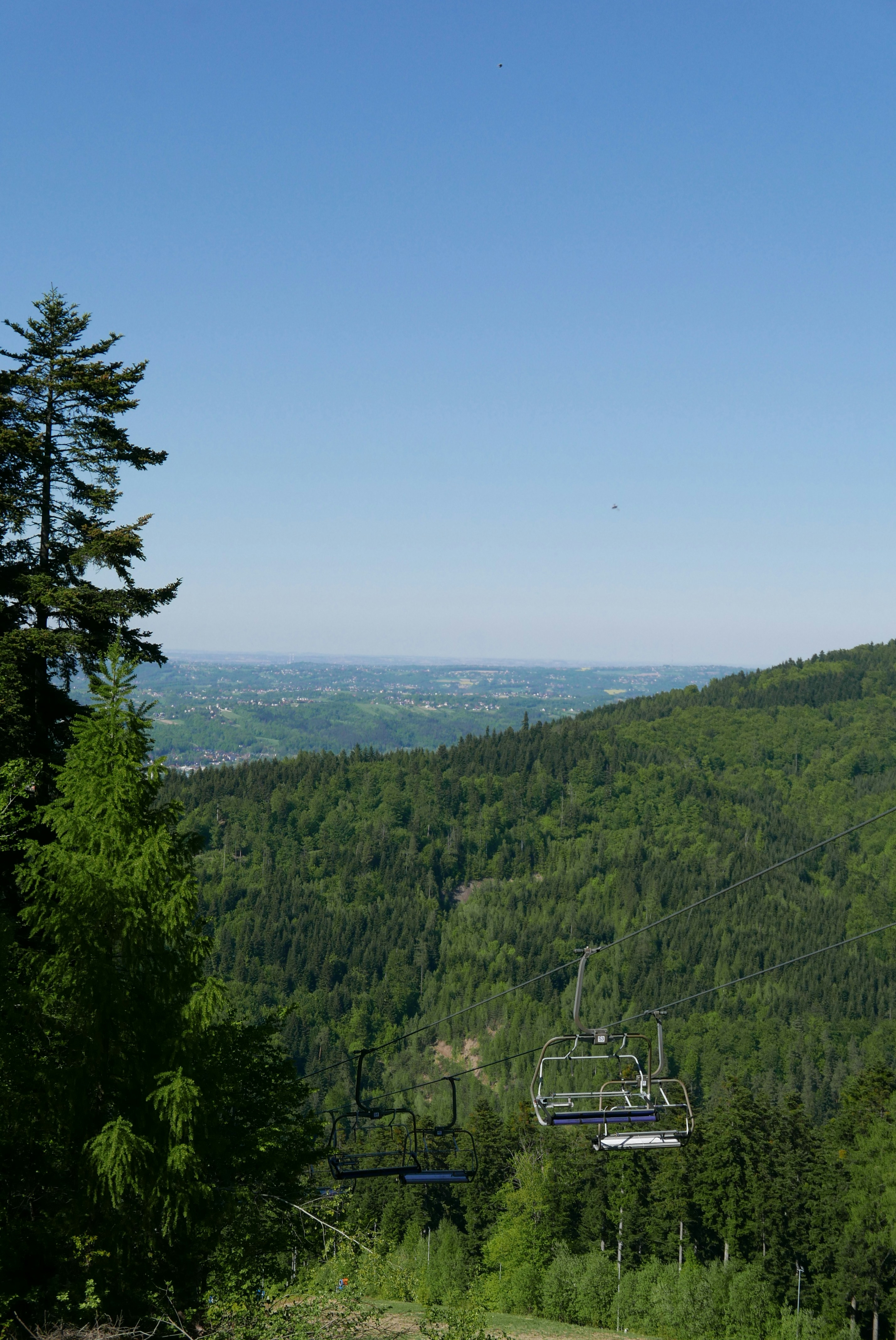 Chairlift Overlook: A Panoramic Forest Descent