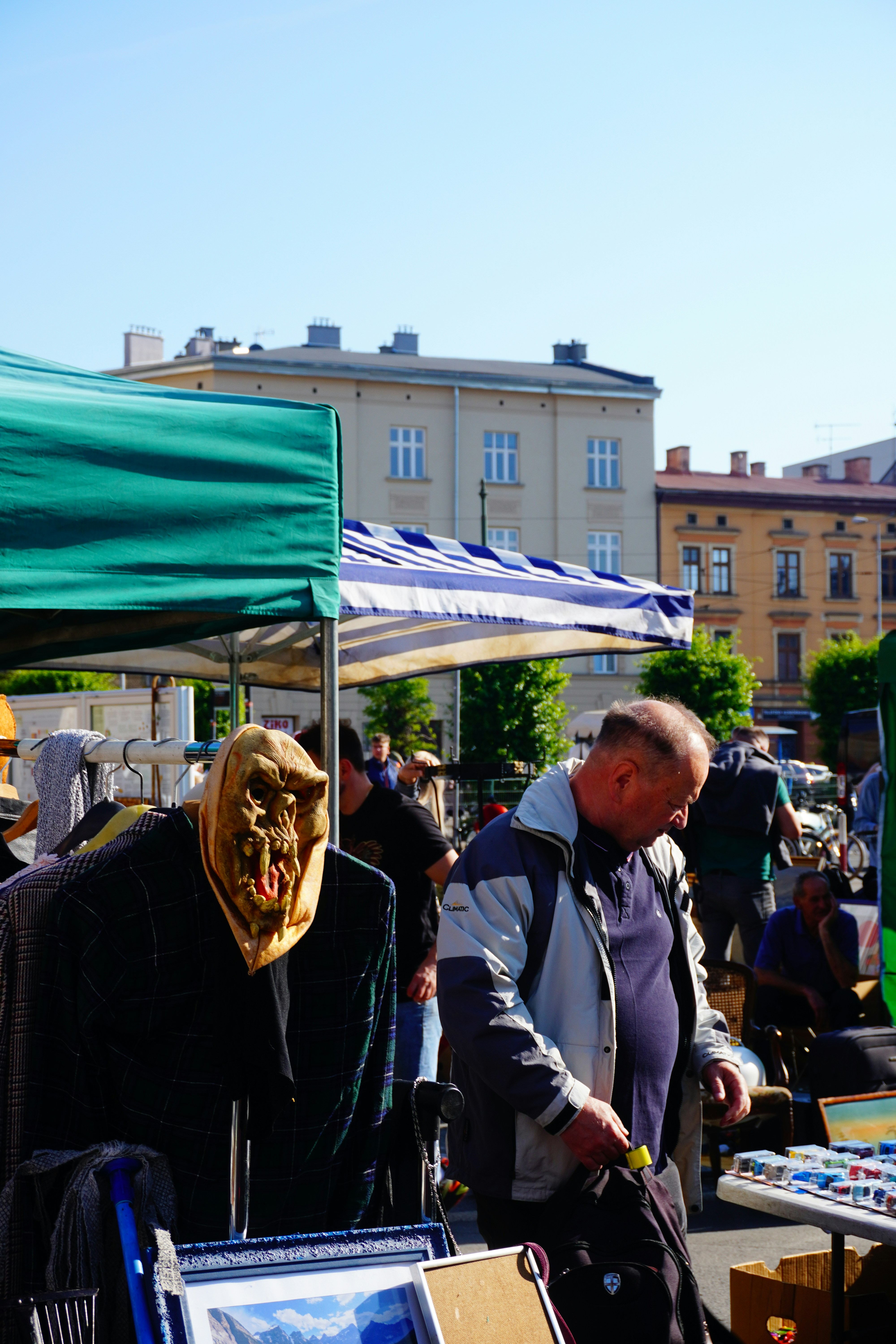 Market Scene Portrait: The Man Examines Treasures Beneath a Striped Canopy