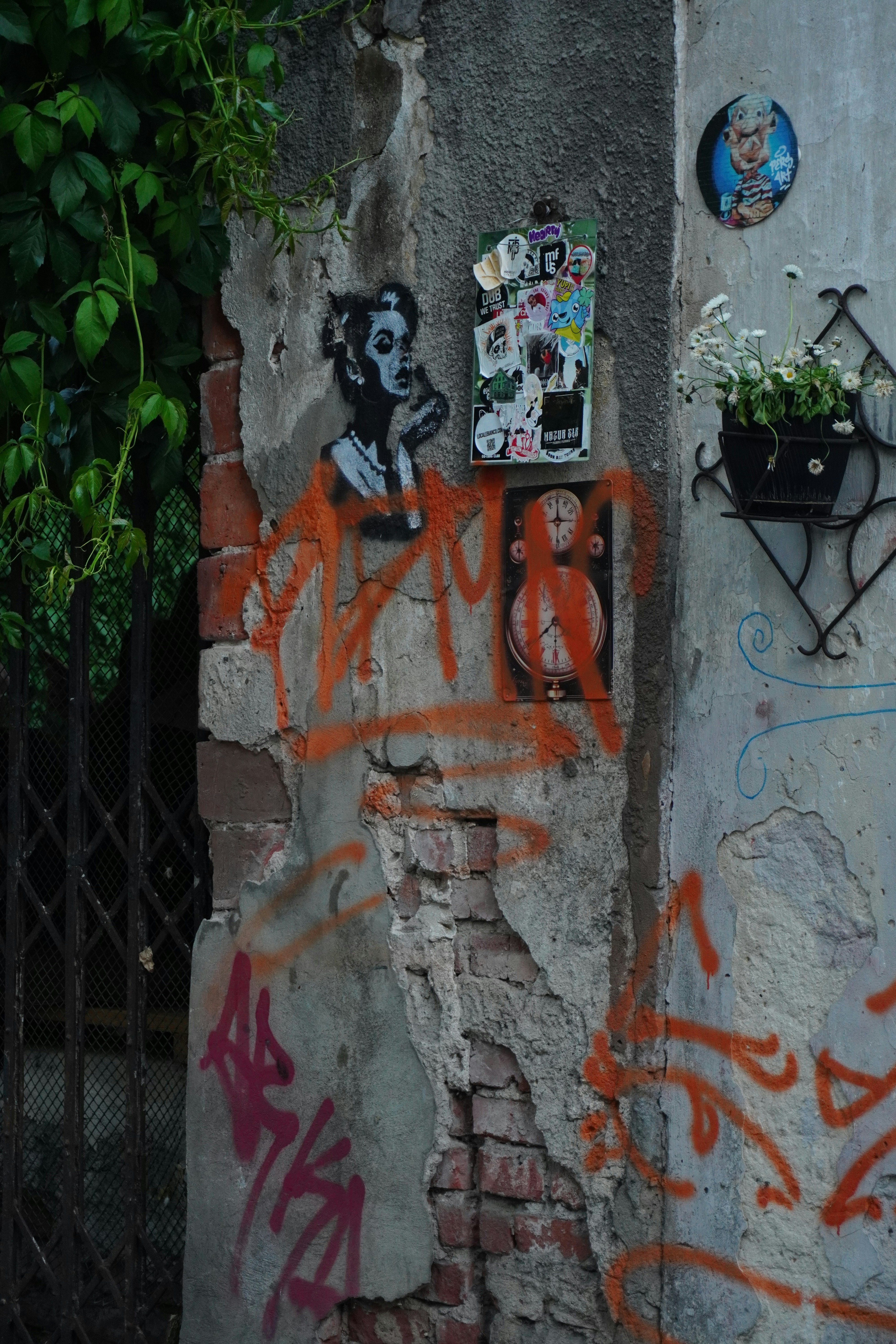 Weathered wall with graffiti, stencil art, and a small plant.