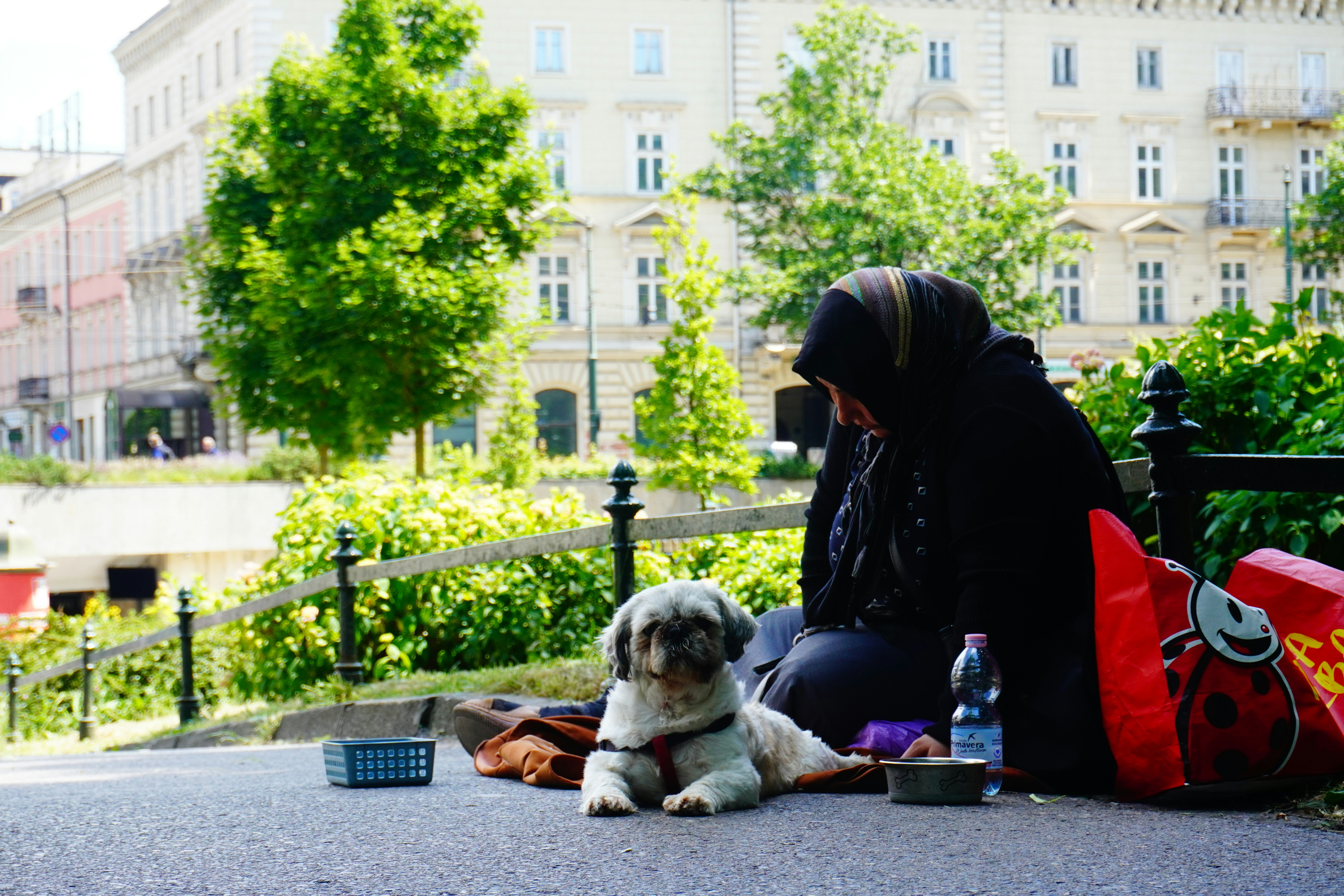 Beside the Quiet Pillow: A Traveler and Her Companion