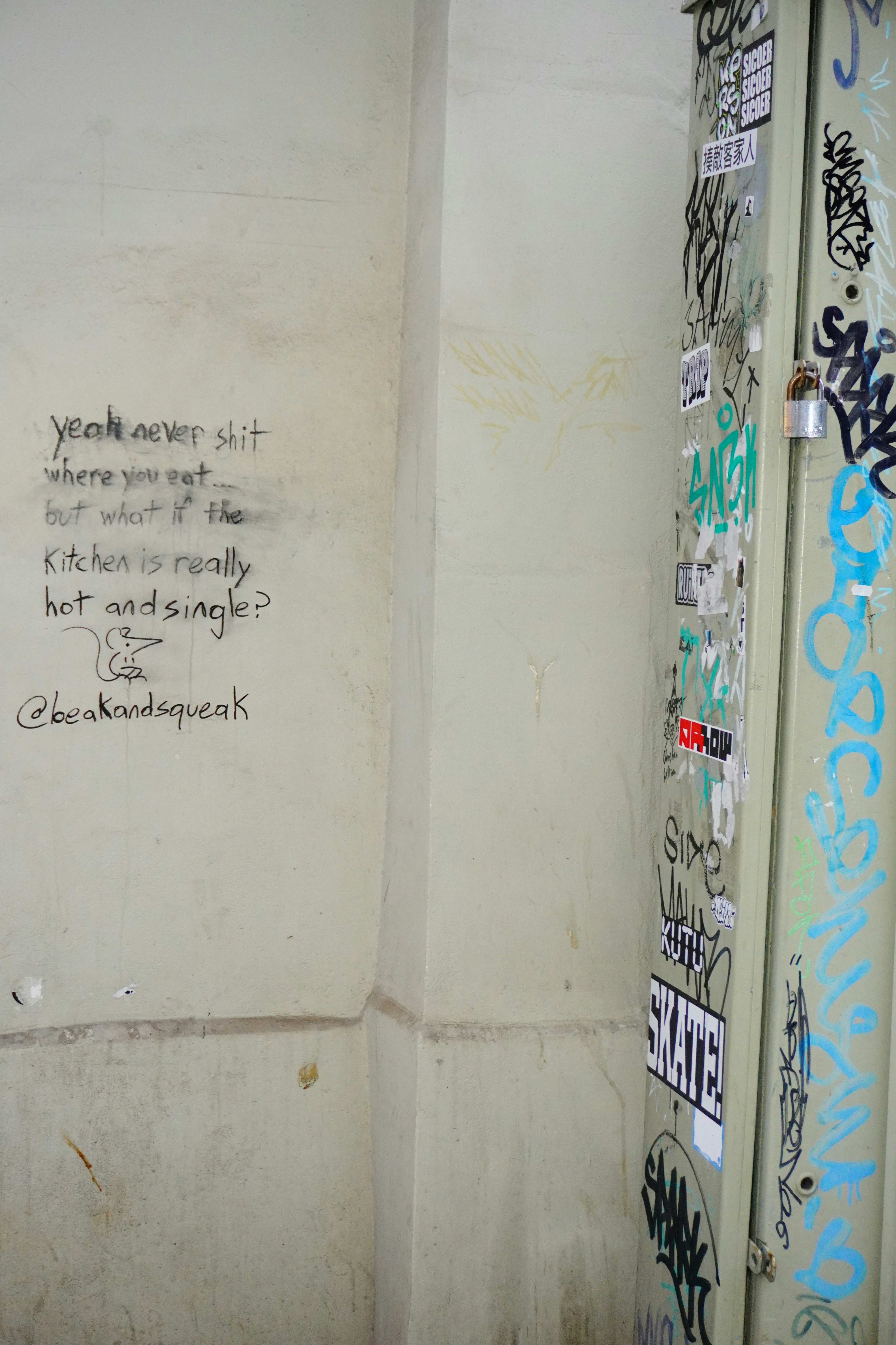 Whispers on a Painted Wall: Graffiti Panel and Graffitied Pillar
