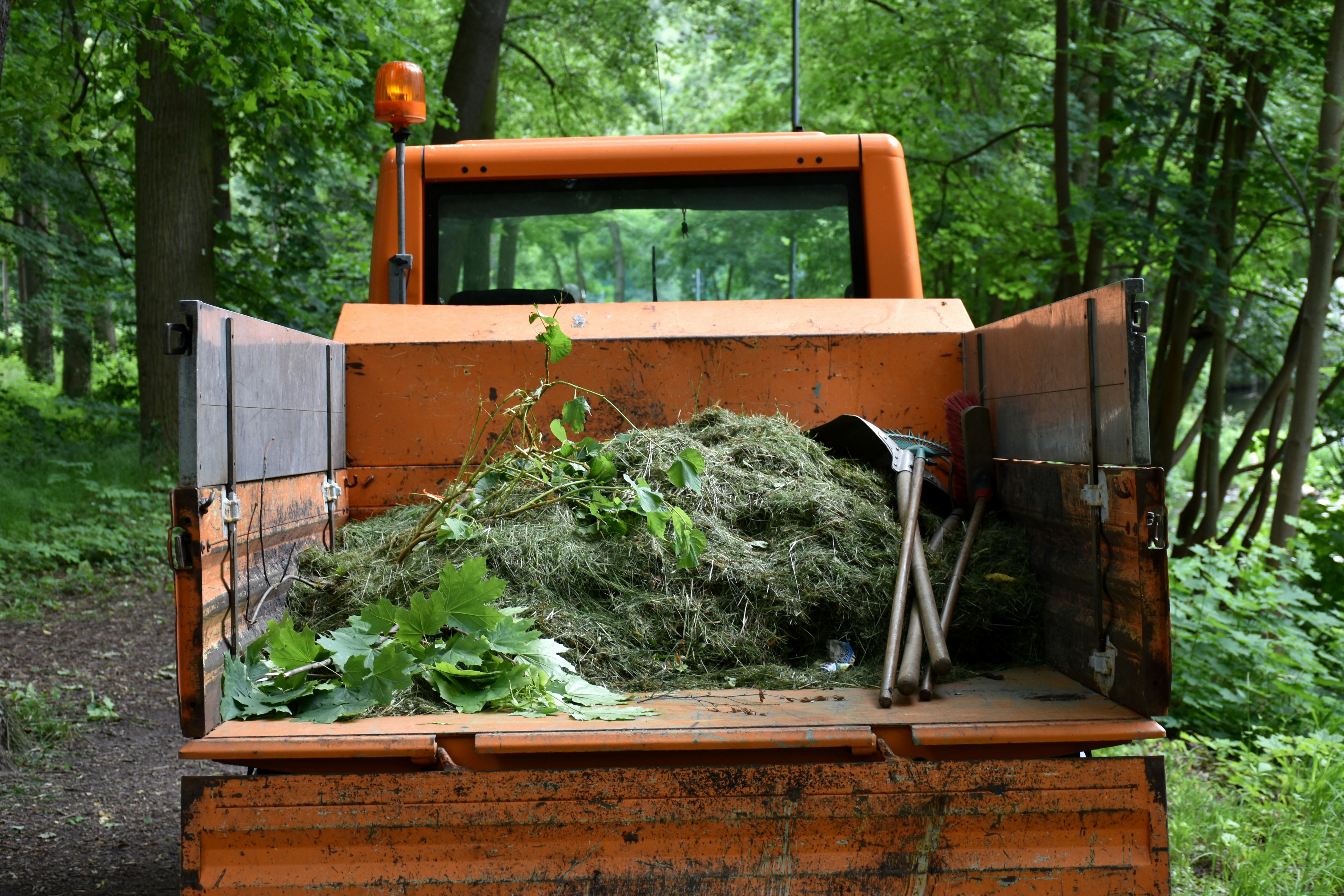 Leaves and Debris Piled in the Back of a Small Orange Dump Truck