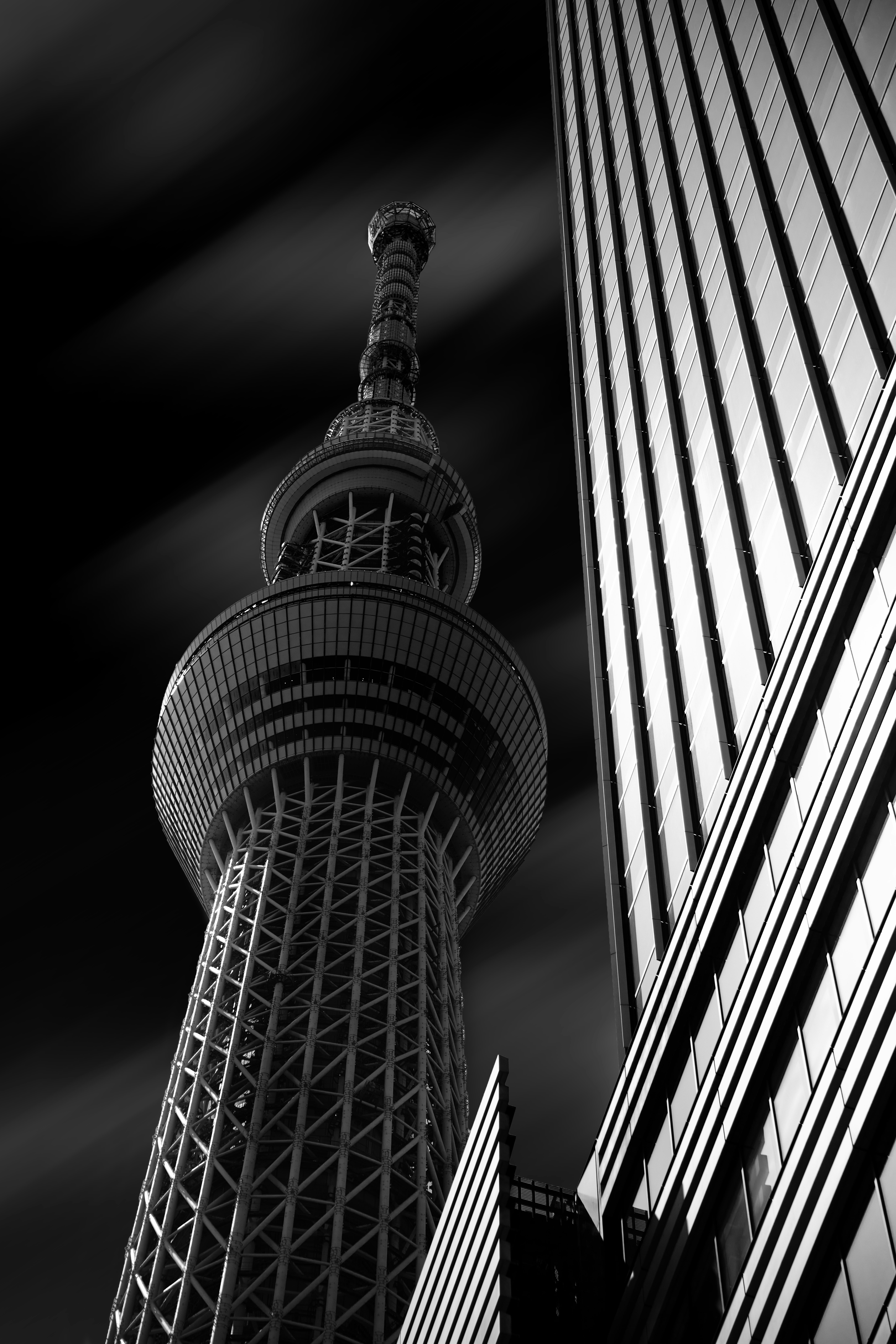 Vertical Giants: Tokyo Skytree Rising beside Modern Glass