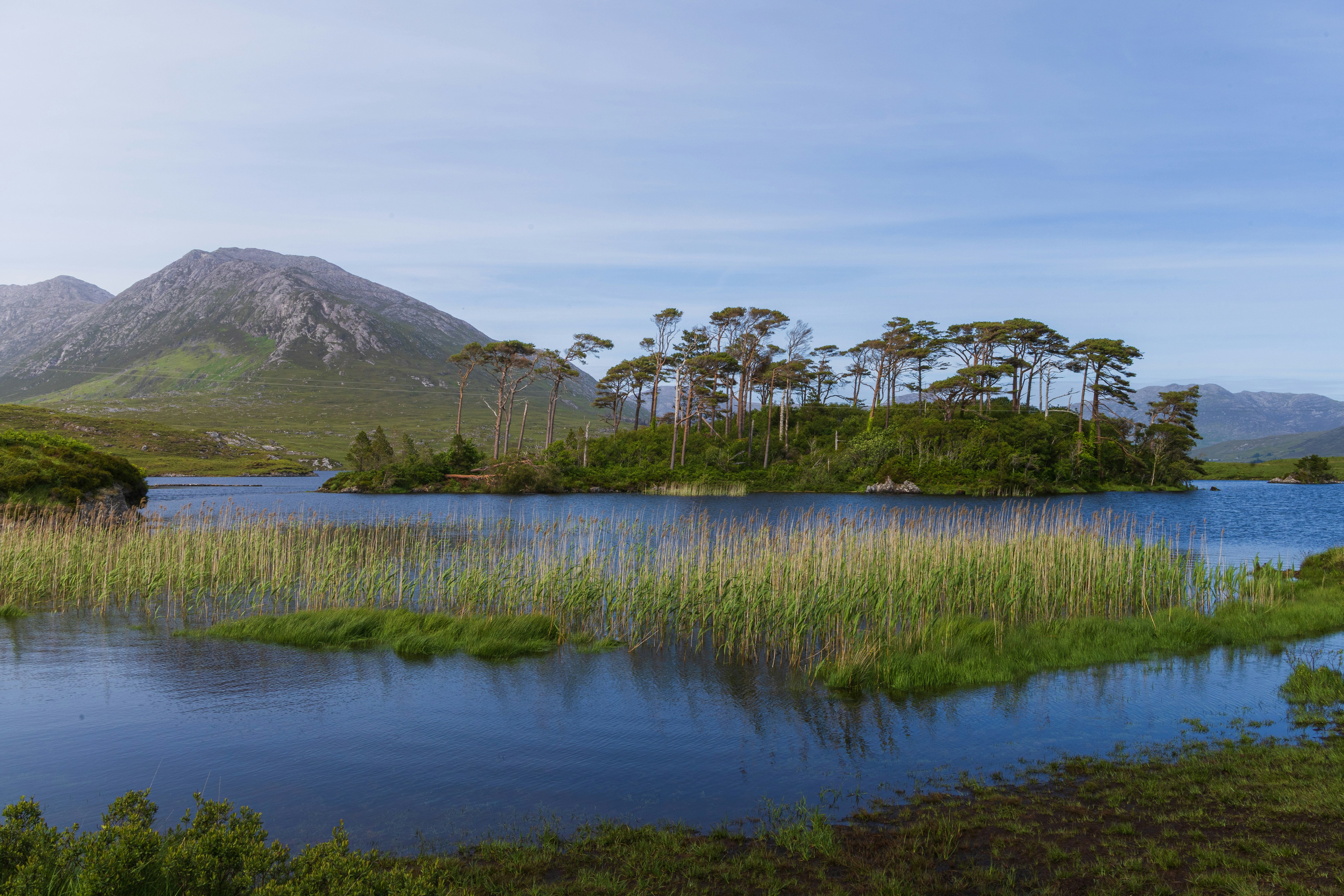 A serene lake with a tree-covered island and mountains.
