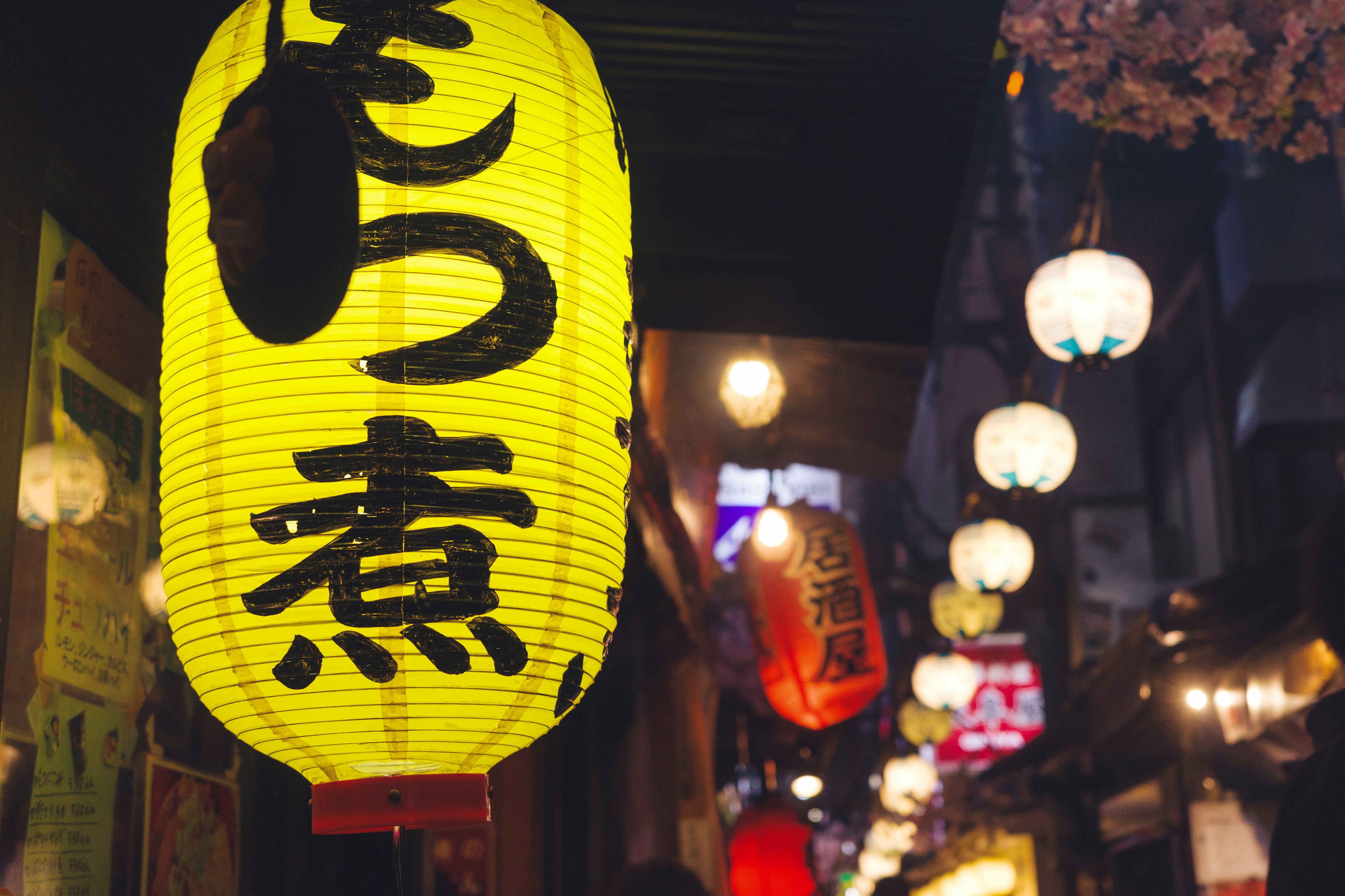 Lanterns in the Lantern Alley: A Glowing Night in Neon Tokyo-esque Street
