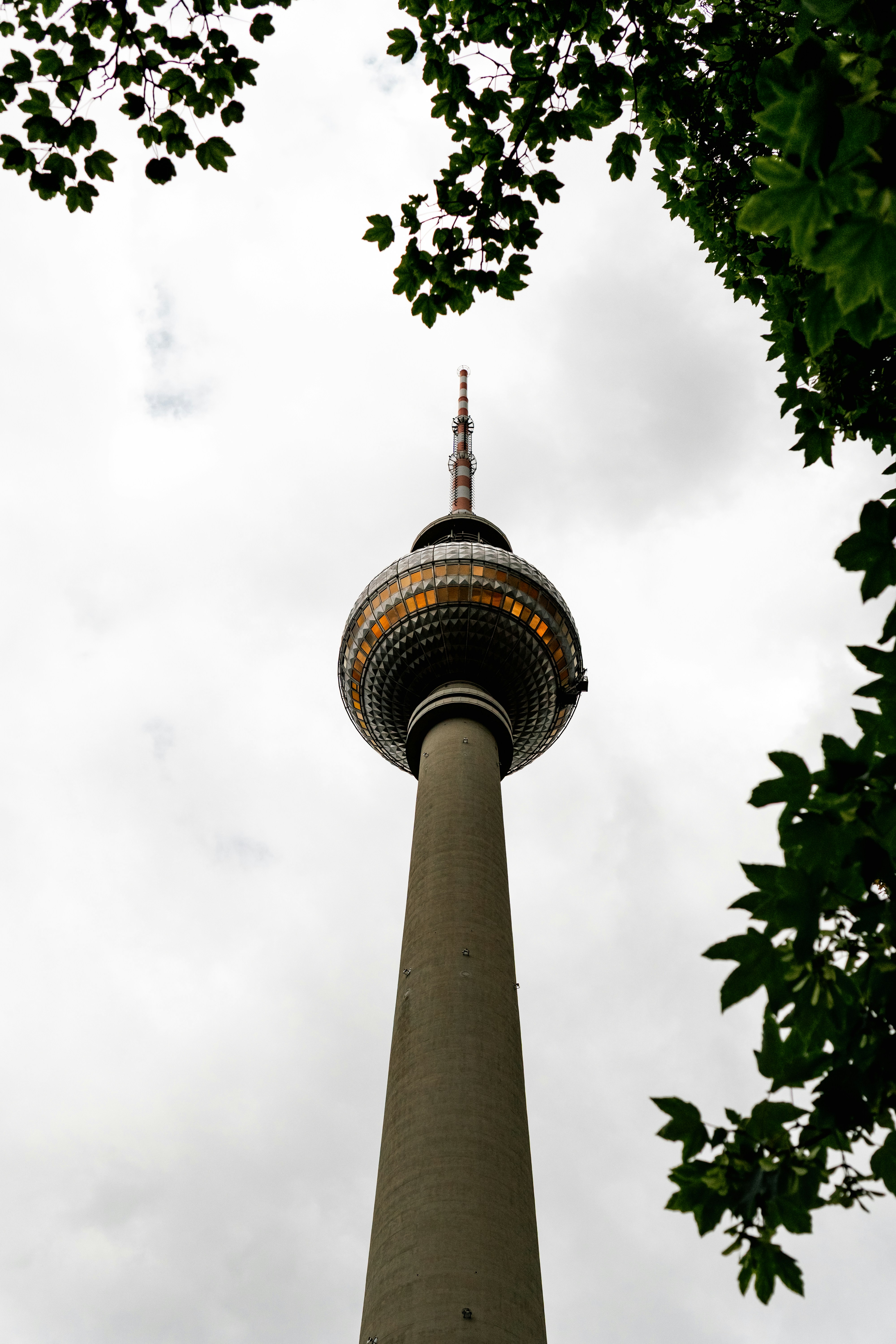 Berlin Tower in Bloom: A Rooftop Perspective