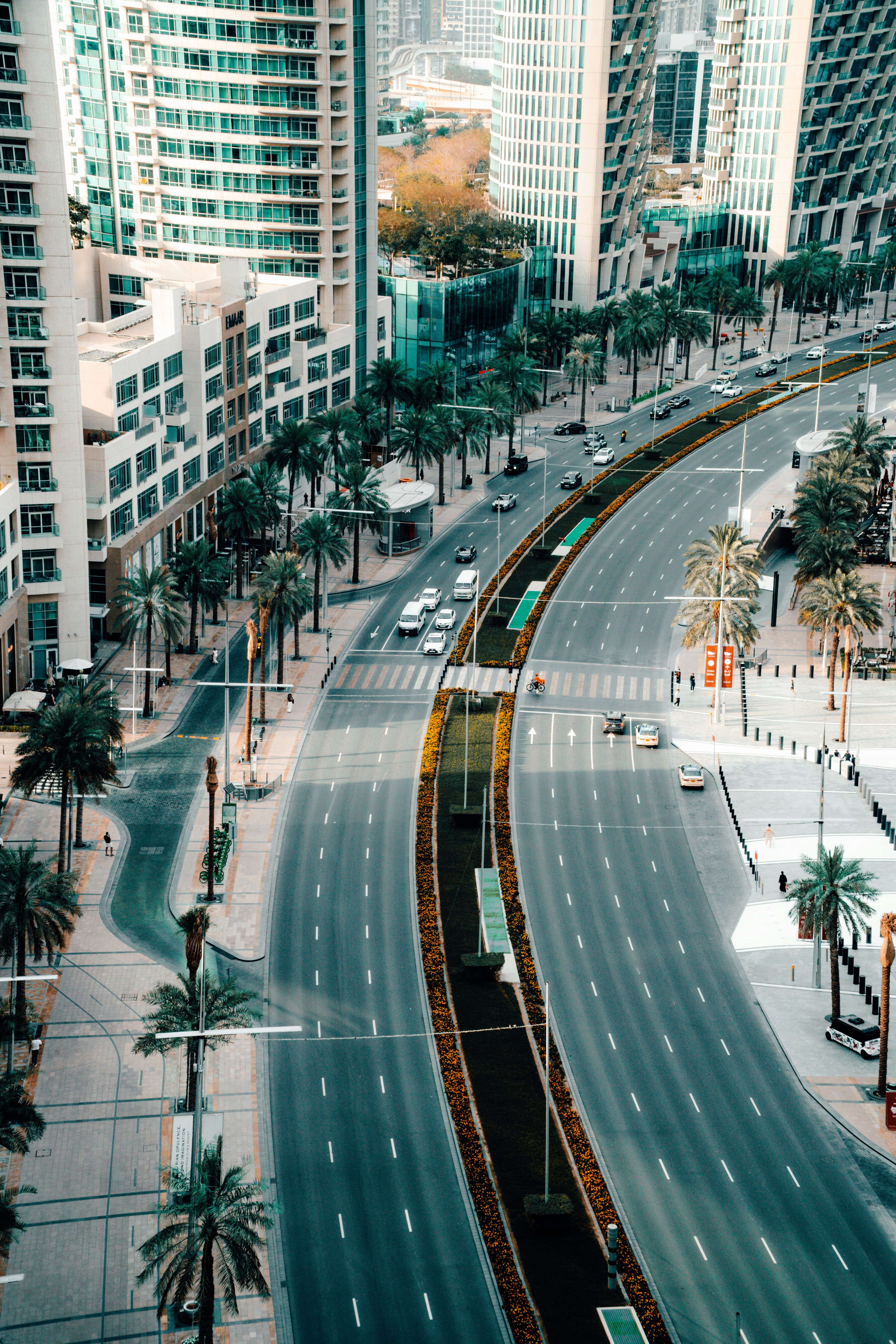 City Ribbon: Aerial Curves and Palm-Lined Arteries