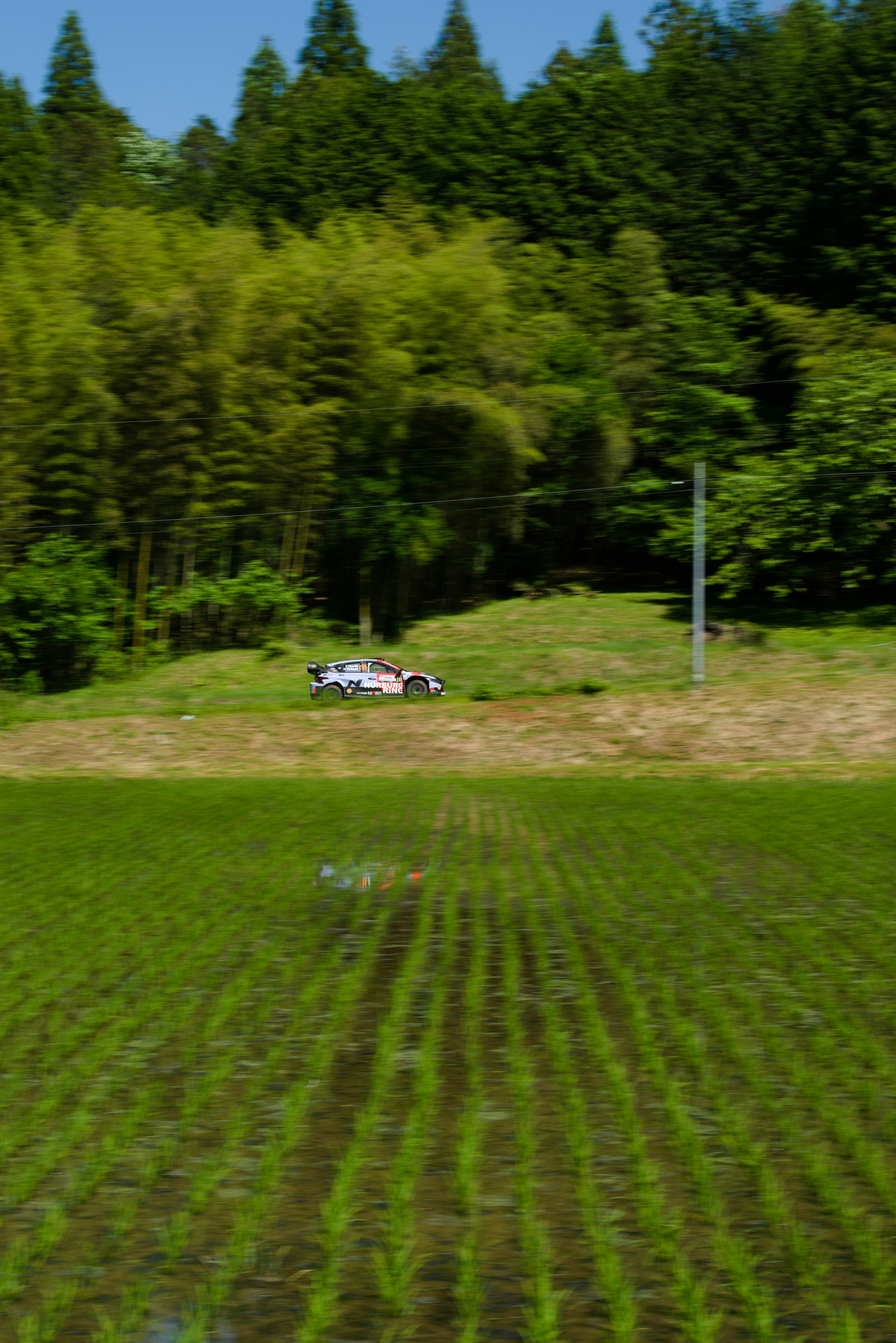 Rally Car in a Quiet Field: A Moment in Motion