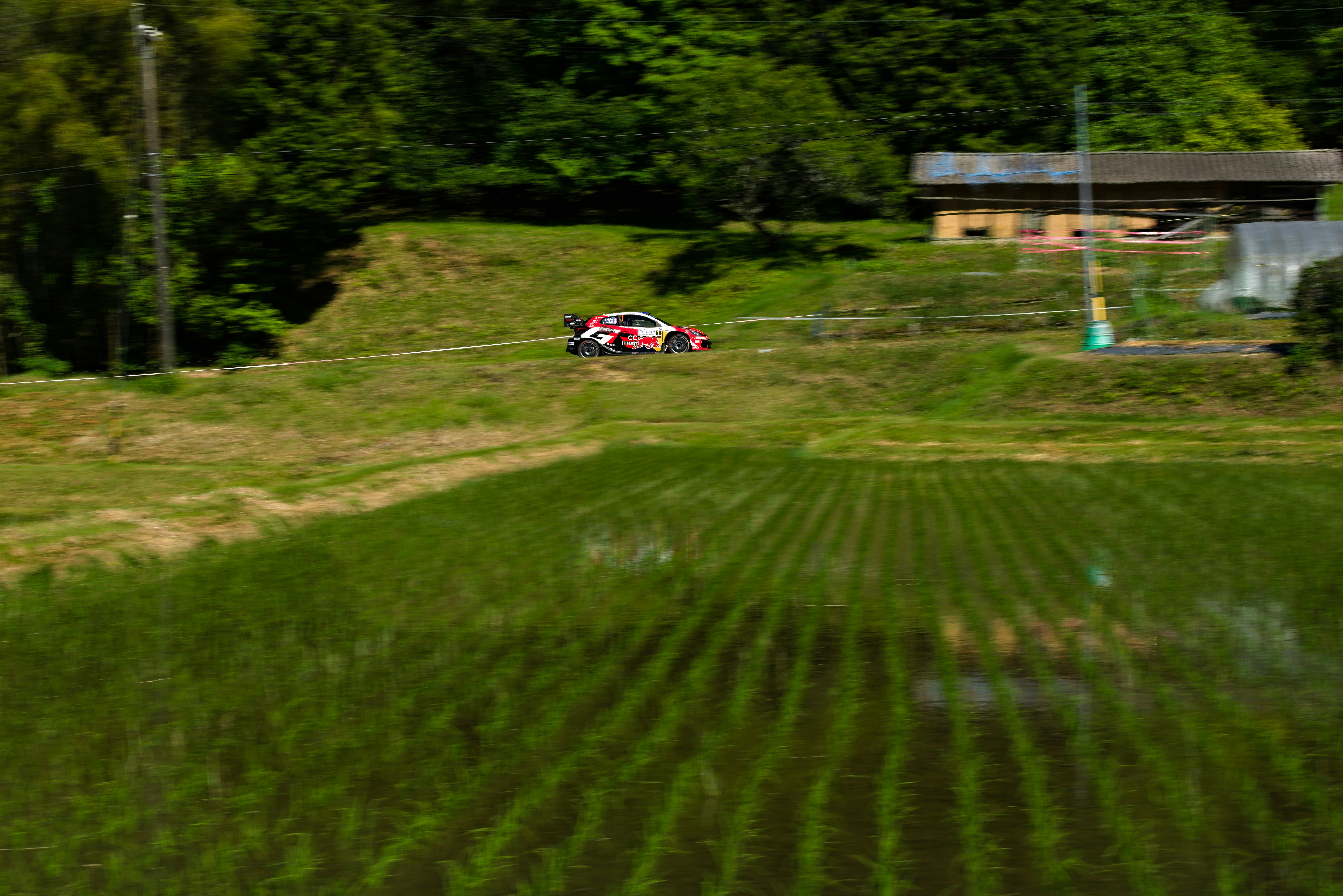 Sprint Across the Field: A Rally Car in a Quiet Horizon