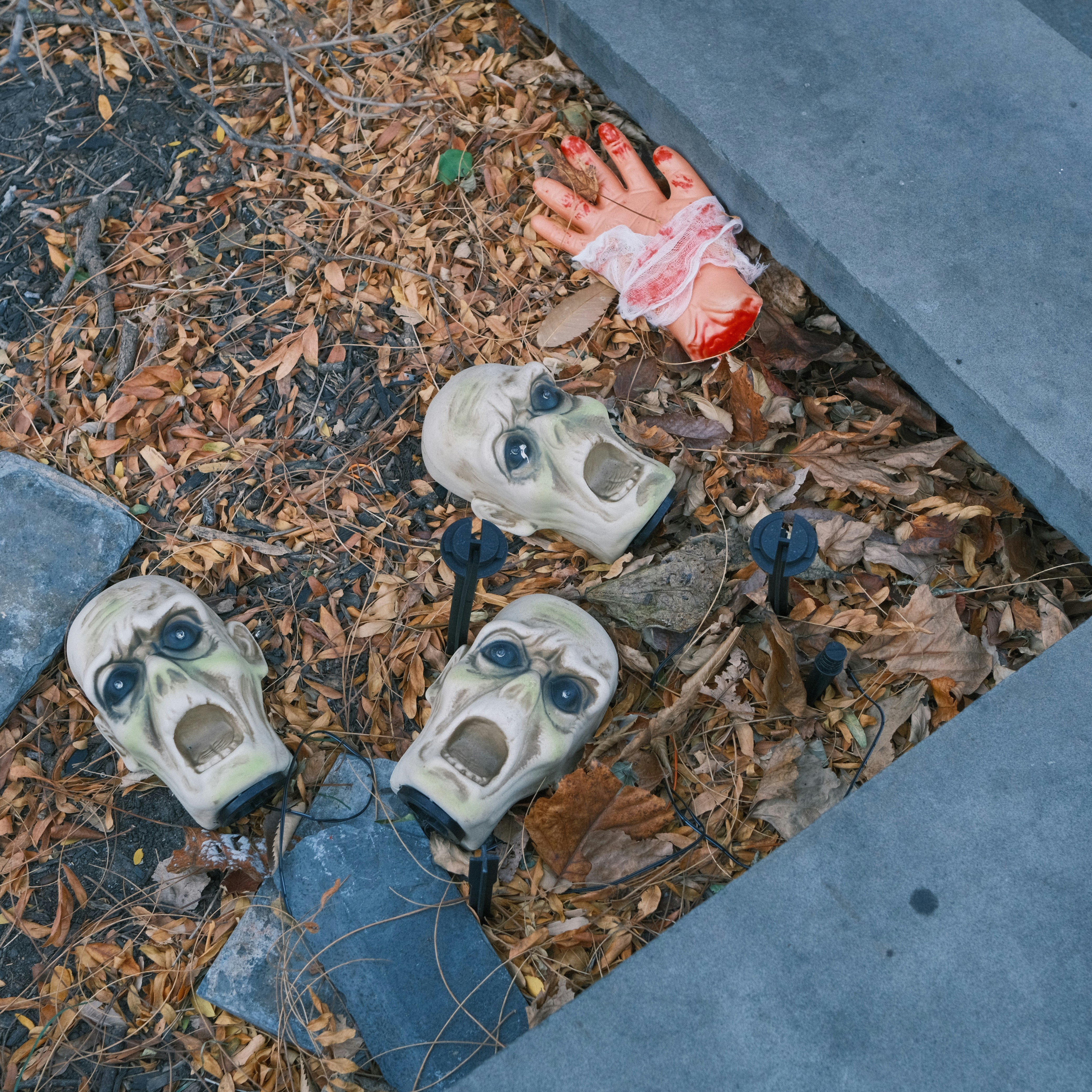 Floating Heads on Autumn Ground: A Surreal Haunt in the Leaves