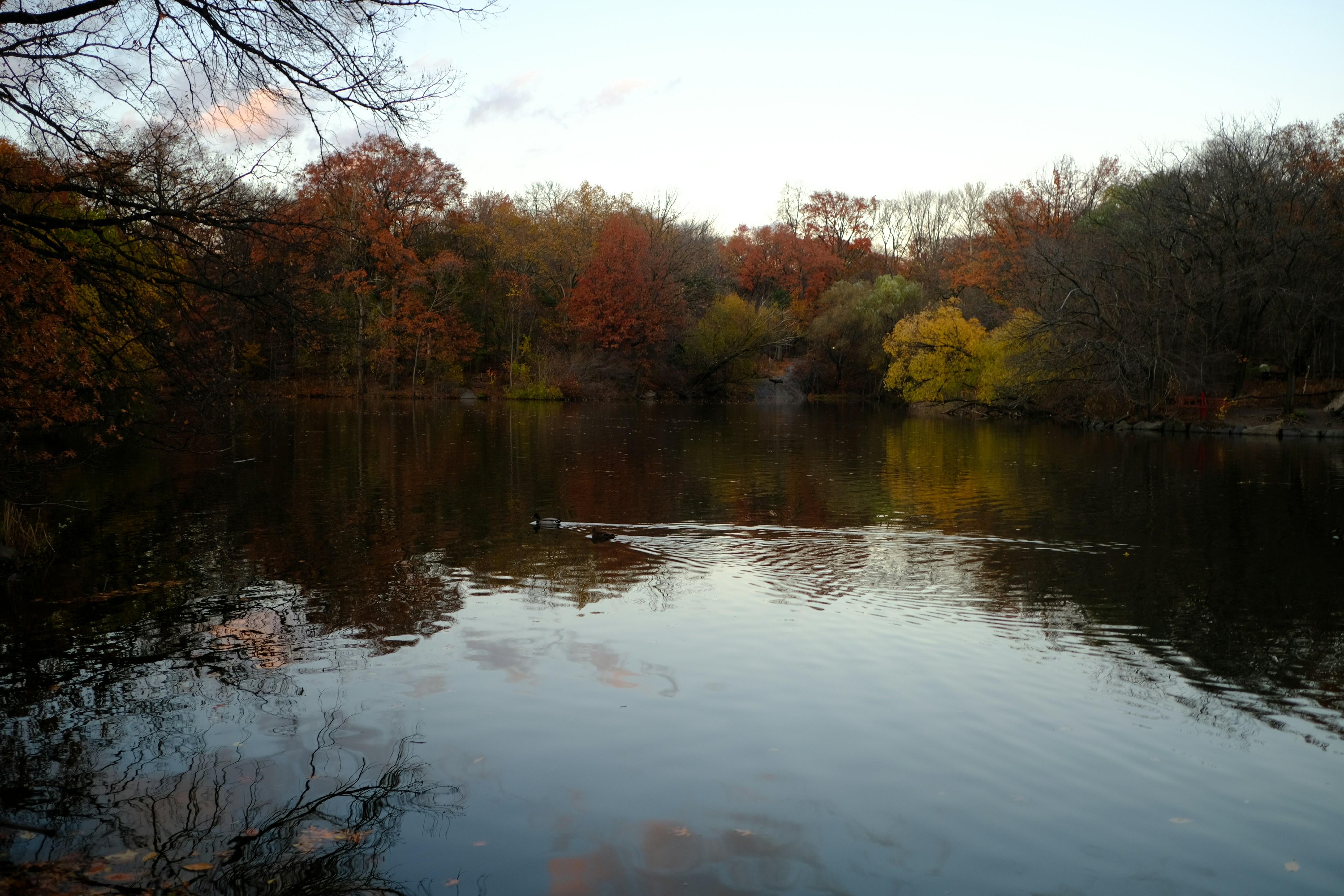 Autumn Lake Ripples at Dusk