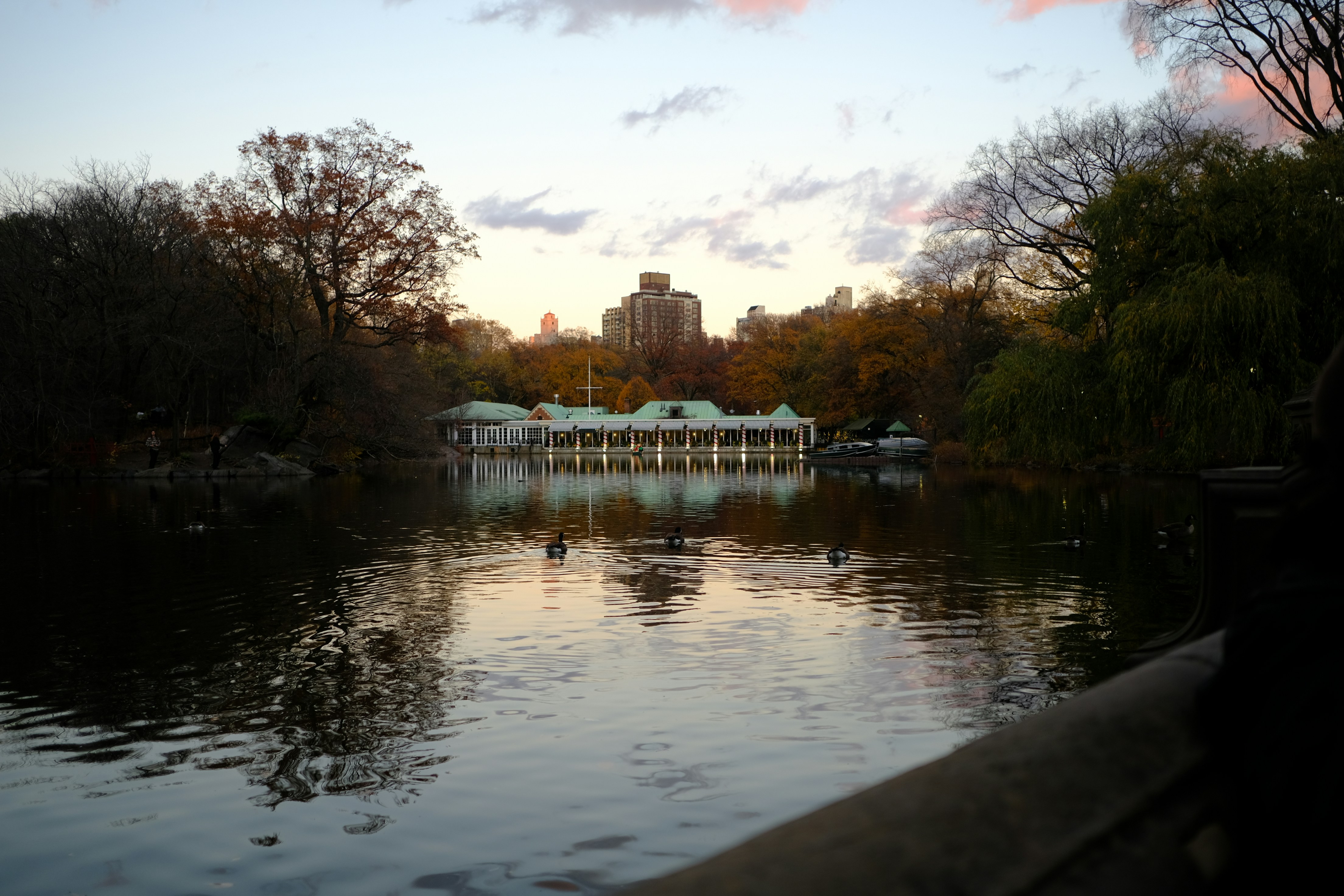 Sunlit boathouse across a tranquil park lake at dusk