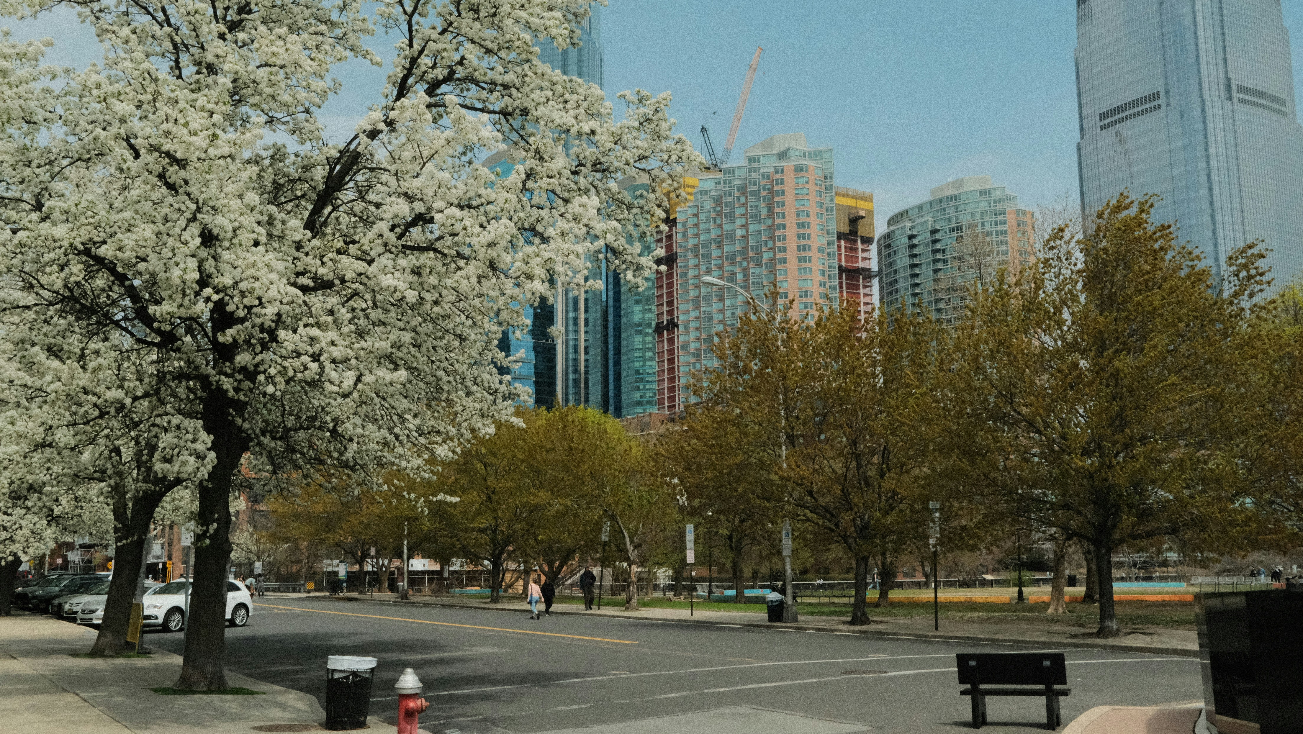 Springtime Quiet in a Modern City Park