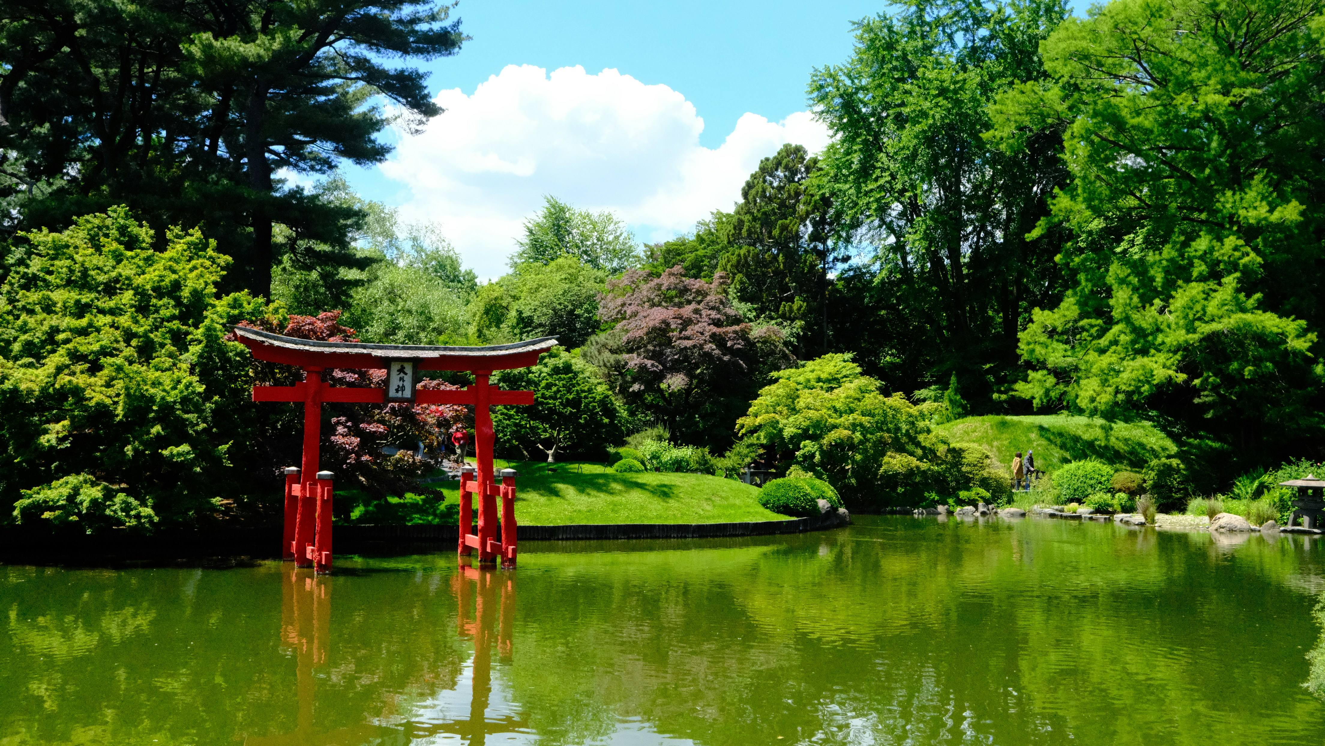 Red Torii Gate Reflected: Tranquil Japanese Garden Across a Serene Pond