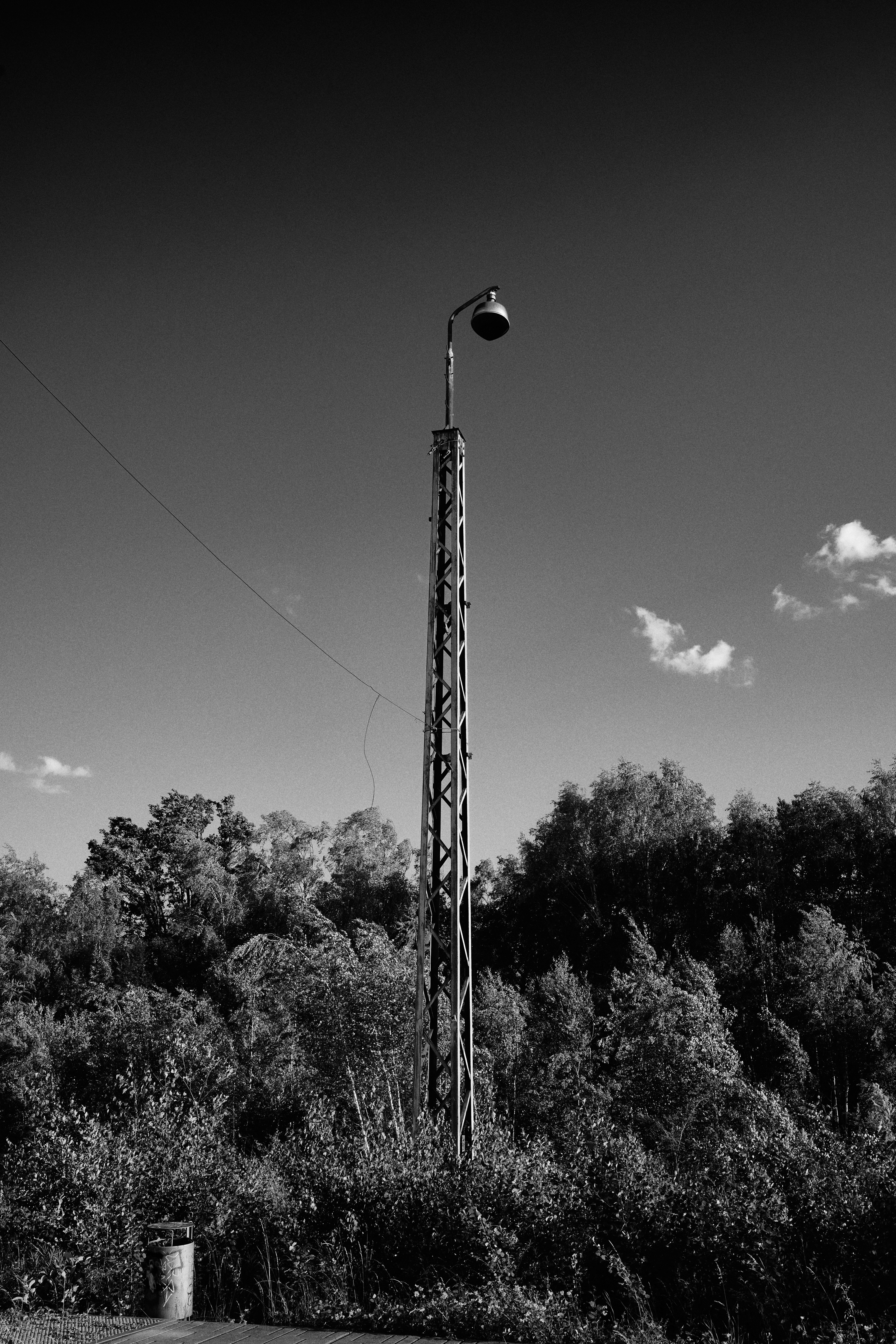 Tall lattice beacon piercing the sky above a dense woodland
