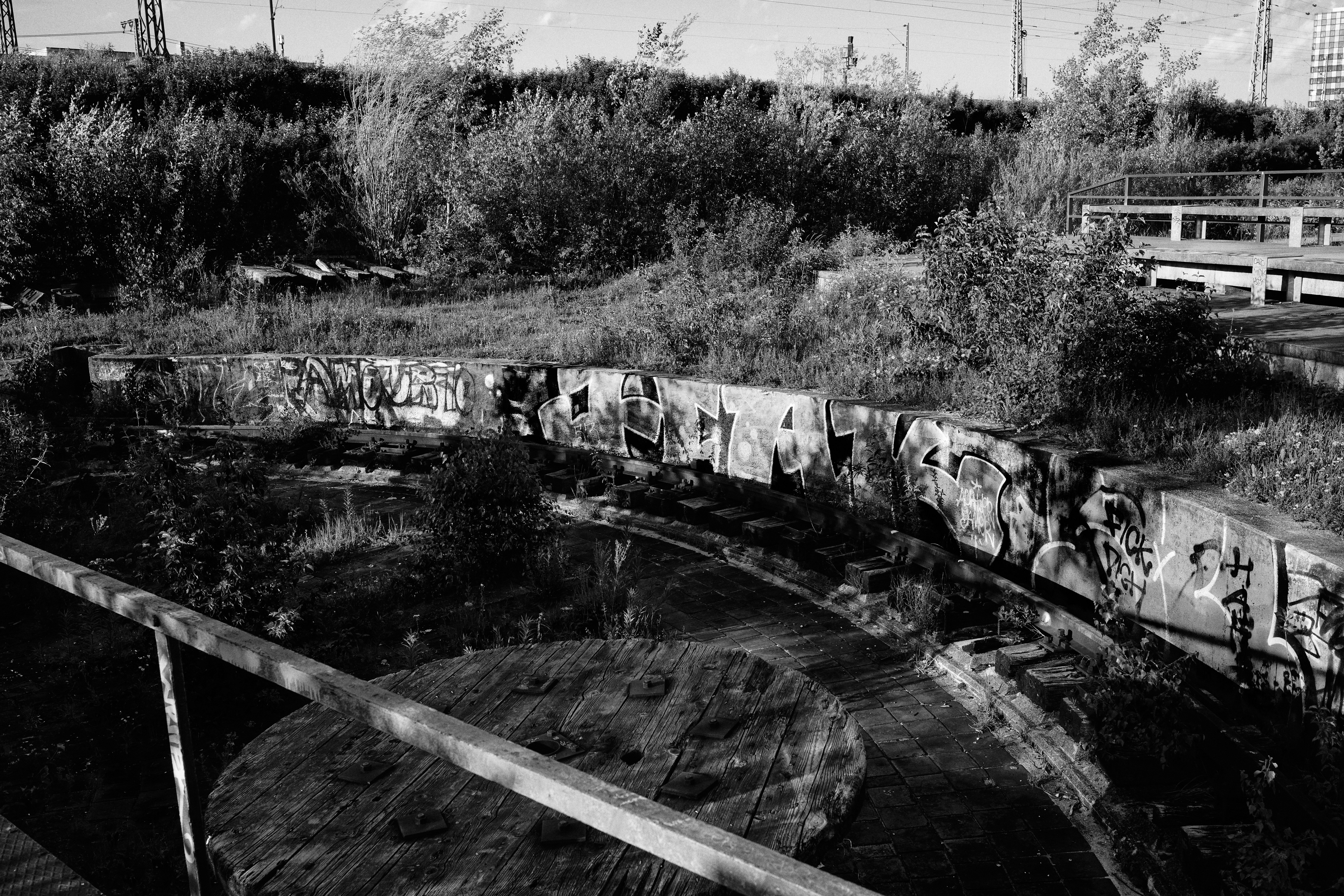 Graffiti Ring Overgrown: An Abandoned Circular Pool in Monochrome
