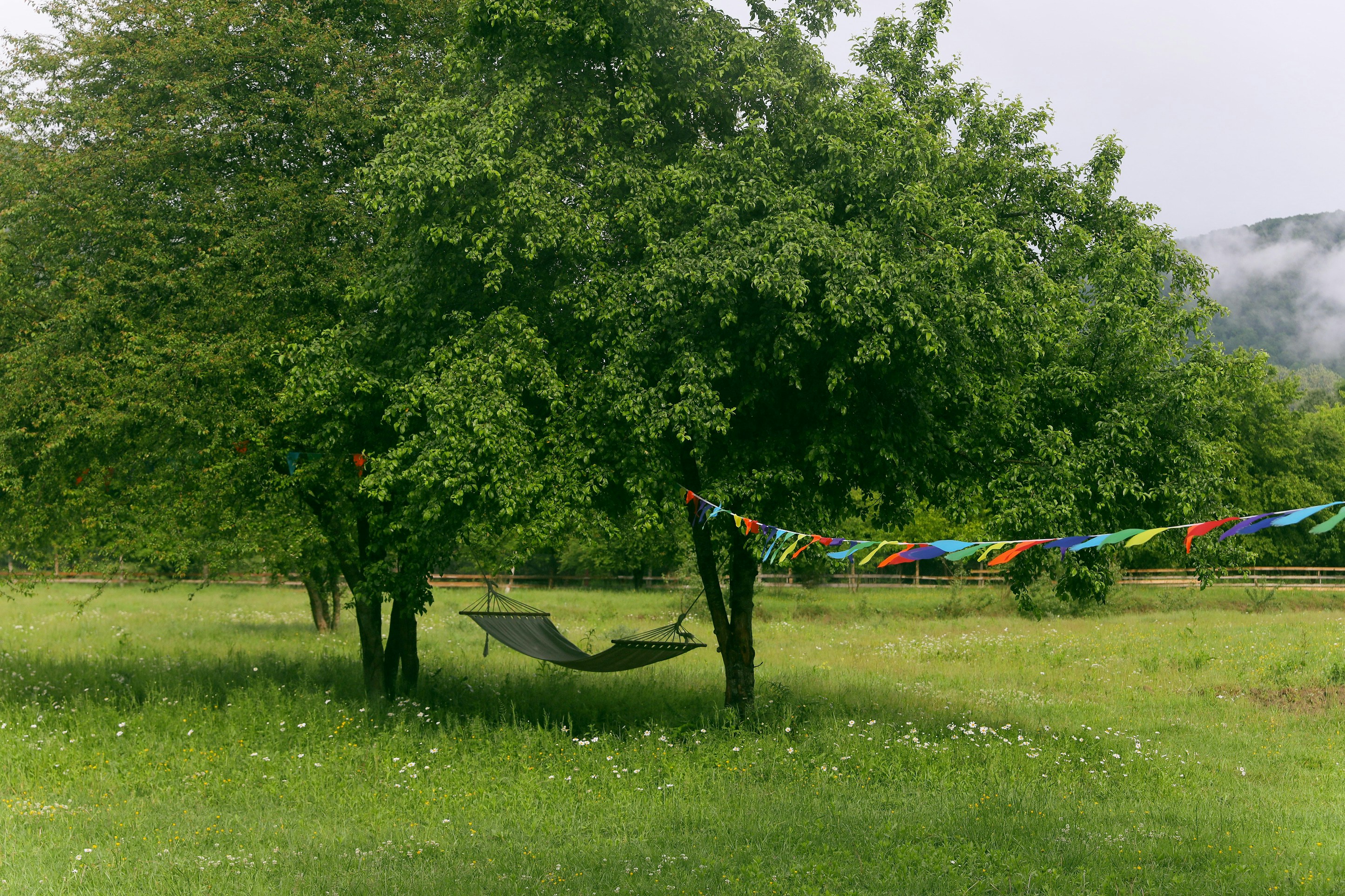 Hammock Beneath the Prayer Flags in a Quiet Meadow