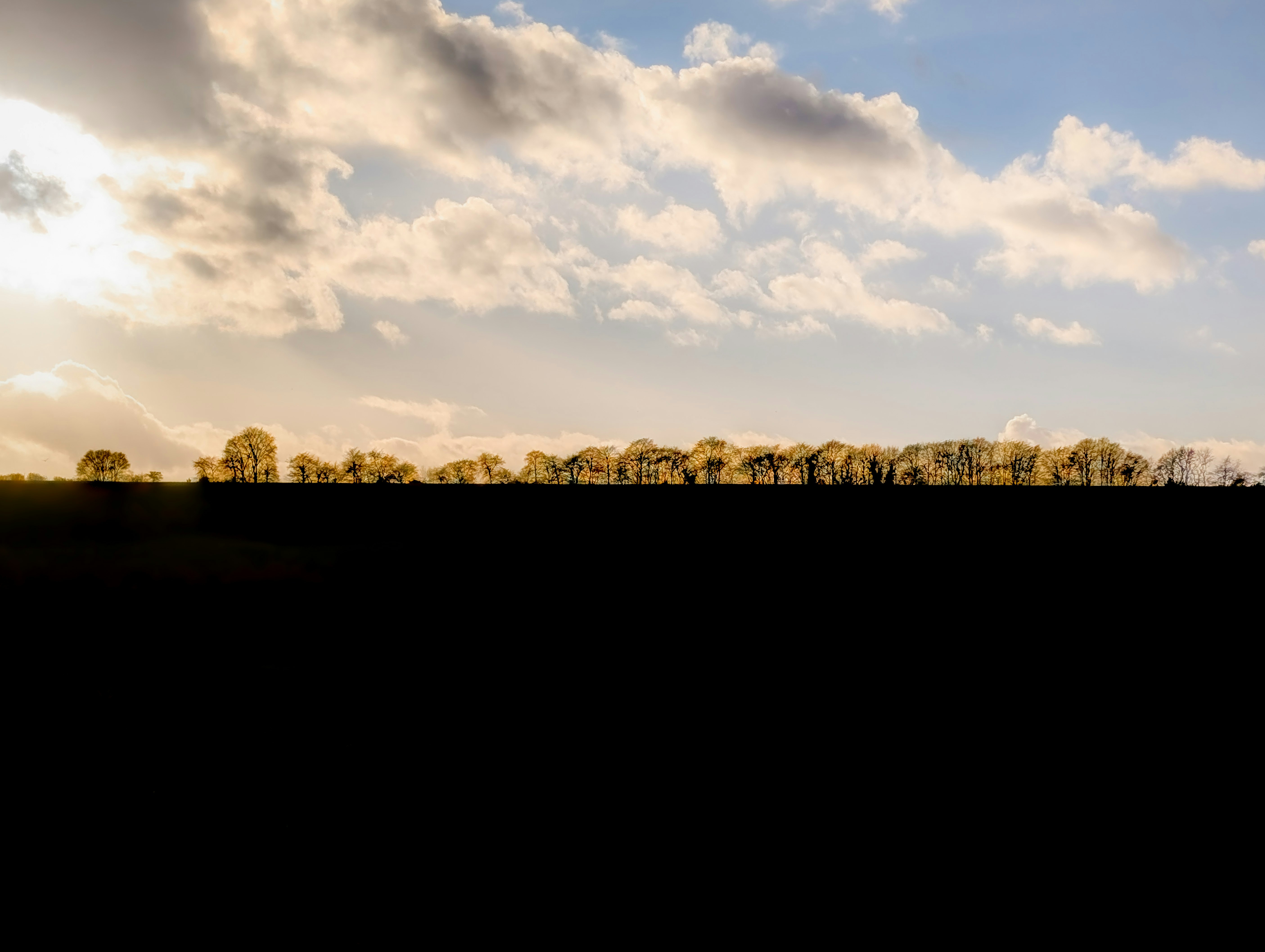 Row of distant trees along a thin horizon under a cloudy sky at sunset; a dark field dominates the lower portion, creating a high-contrast landscape.