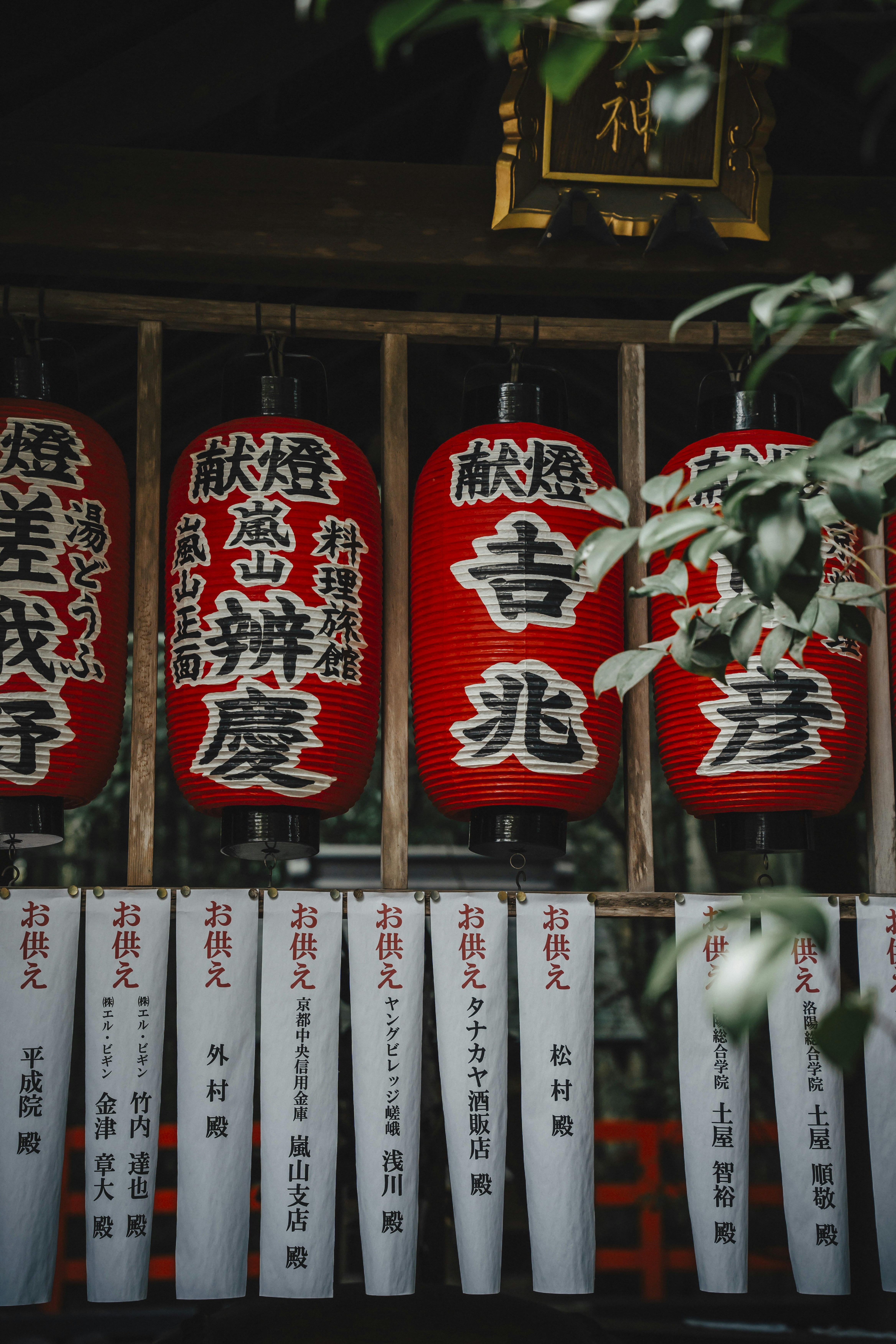 Red Lantern Row at a Japanese Shrine