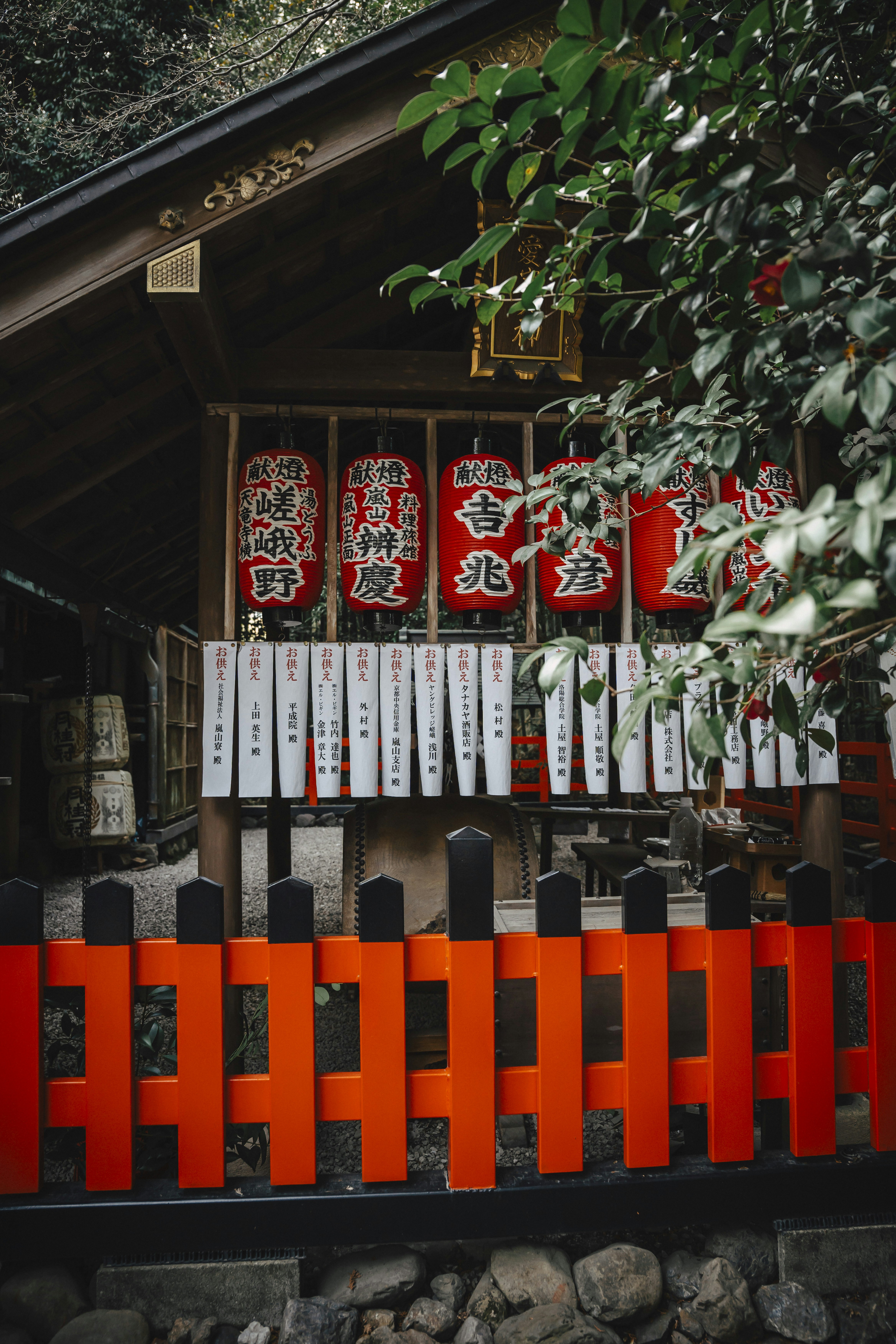 Red Lanterns and Torii Fence: A Quiet Shrine Corridor