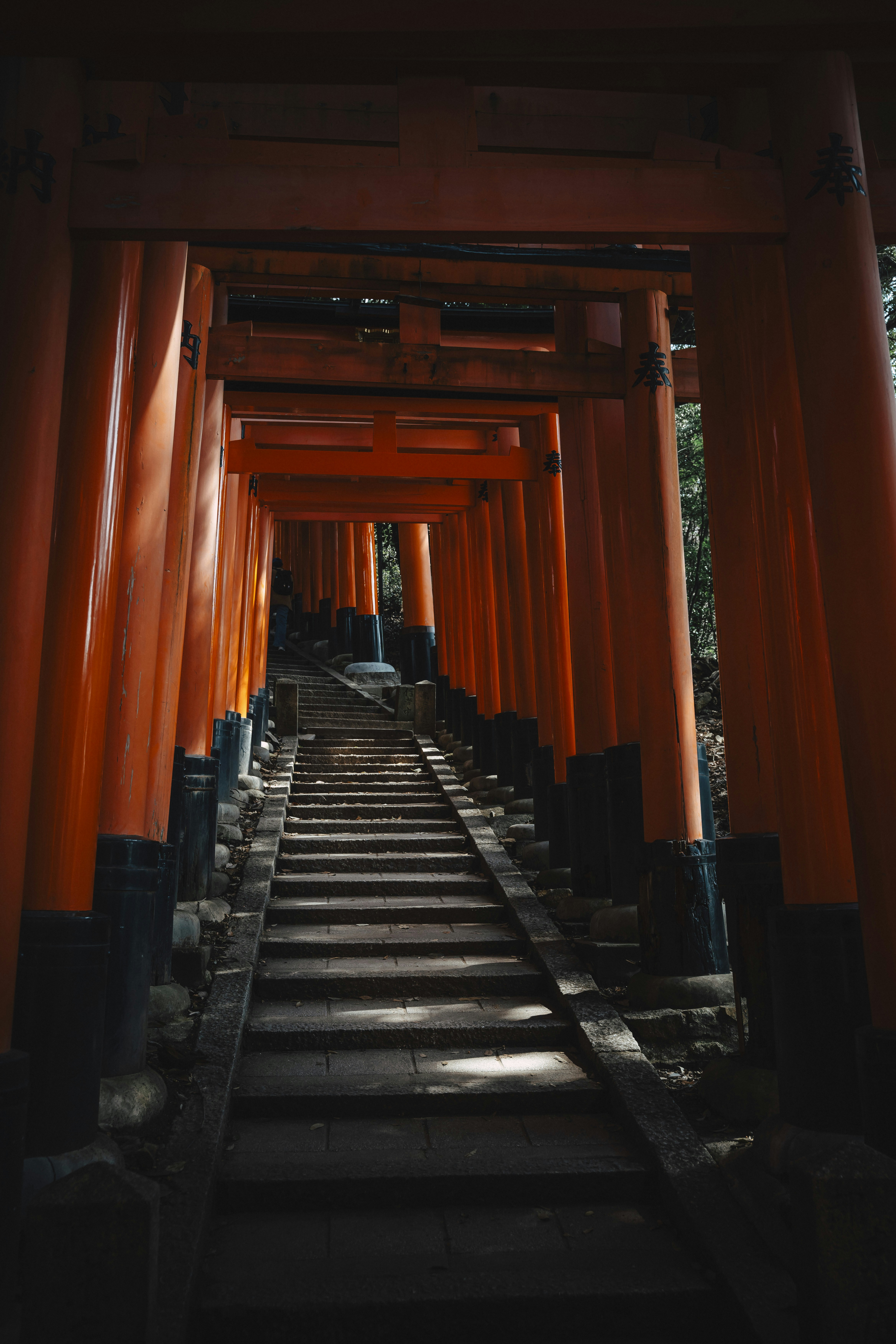 Red Gates in a Quiet Ascent