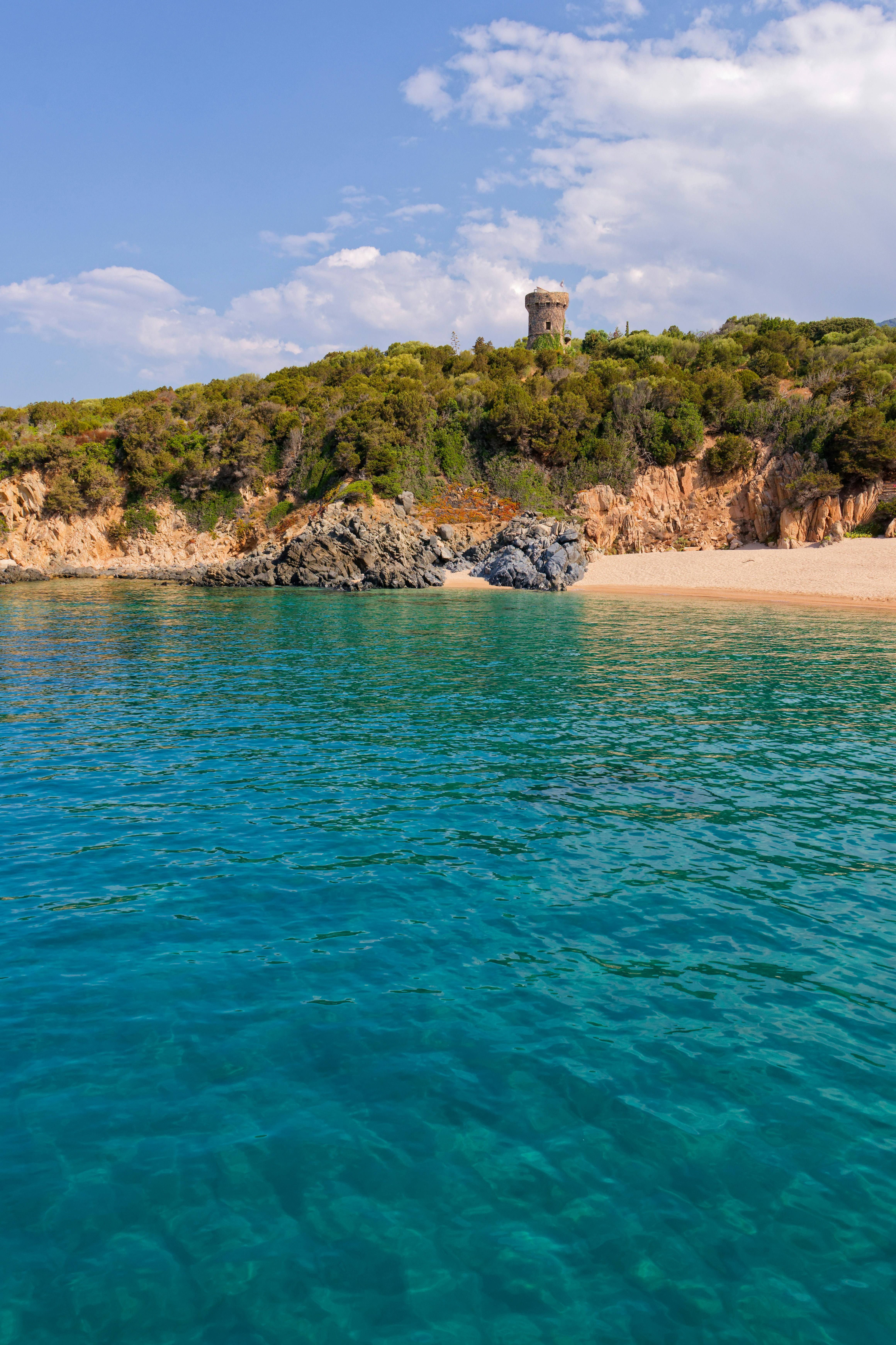 Castle on the Cliff: A Quiet Coastal Watch