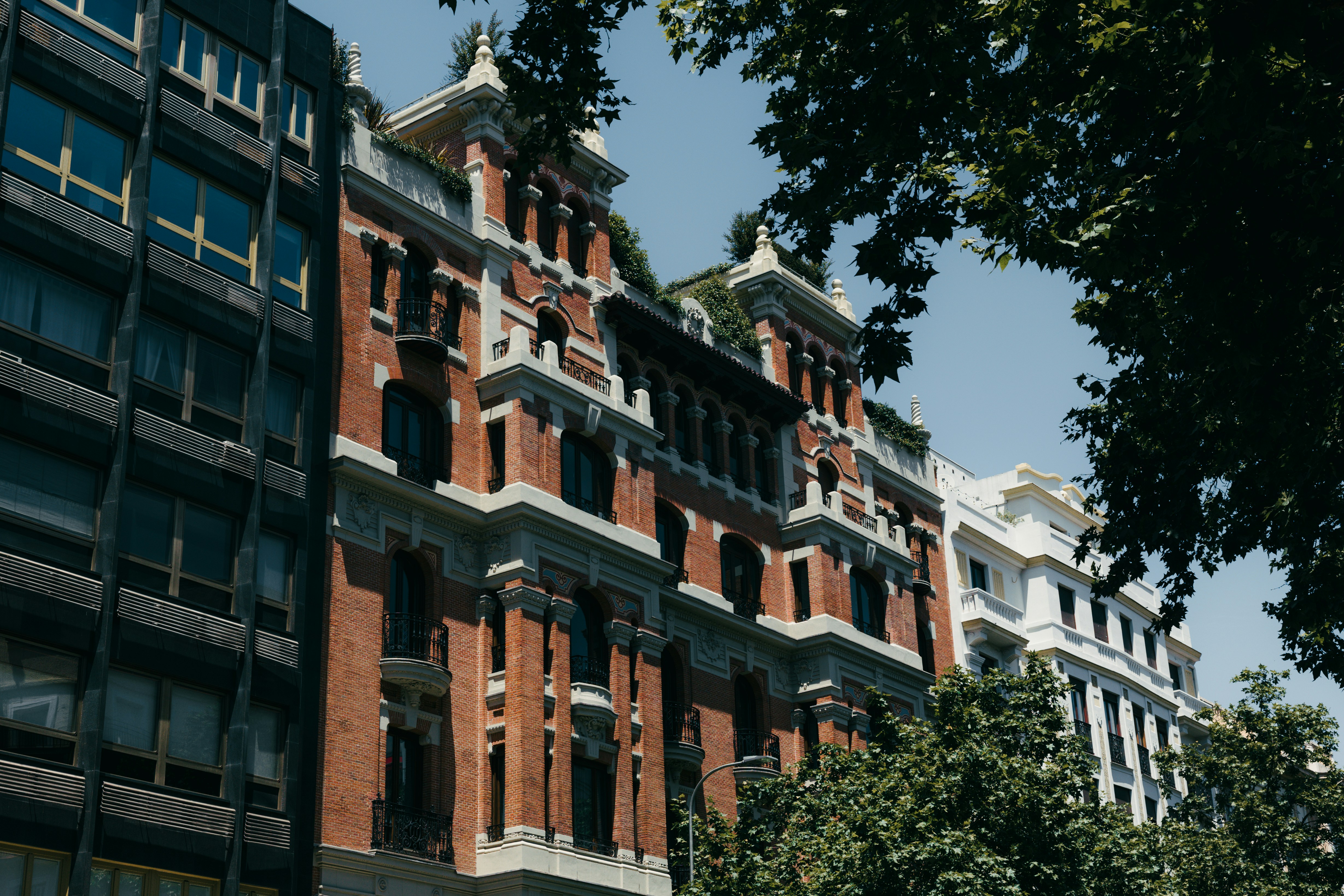 Brick and white facades line a sunlit street, with ornate windows and contrasting shadows; a tree canopy edges the frame, emphasizing architectural detail and depth.