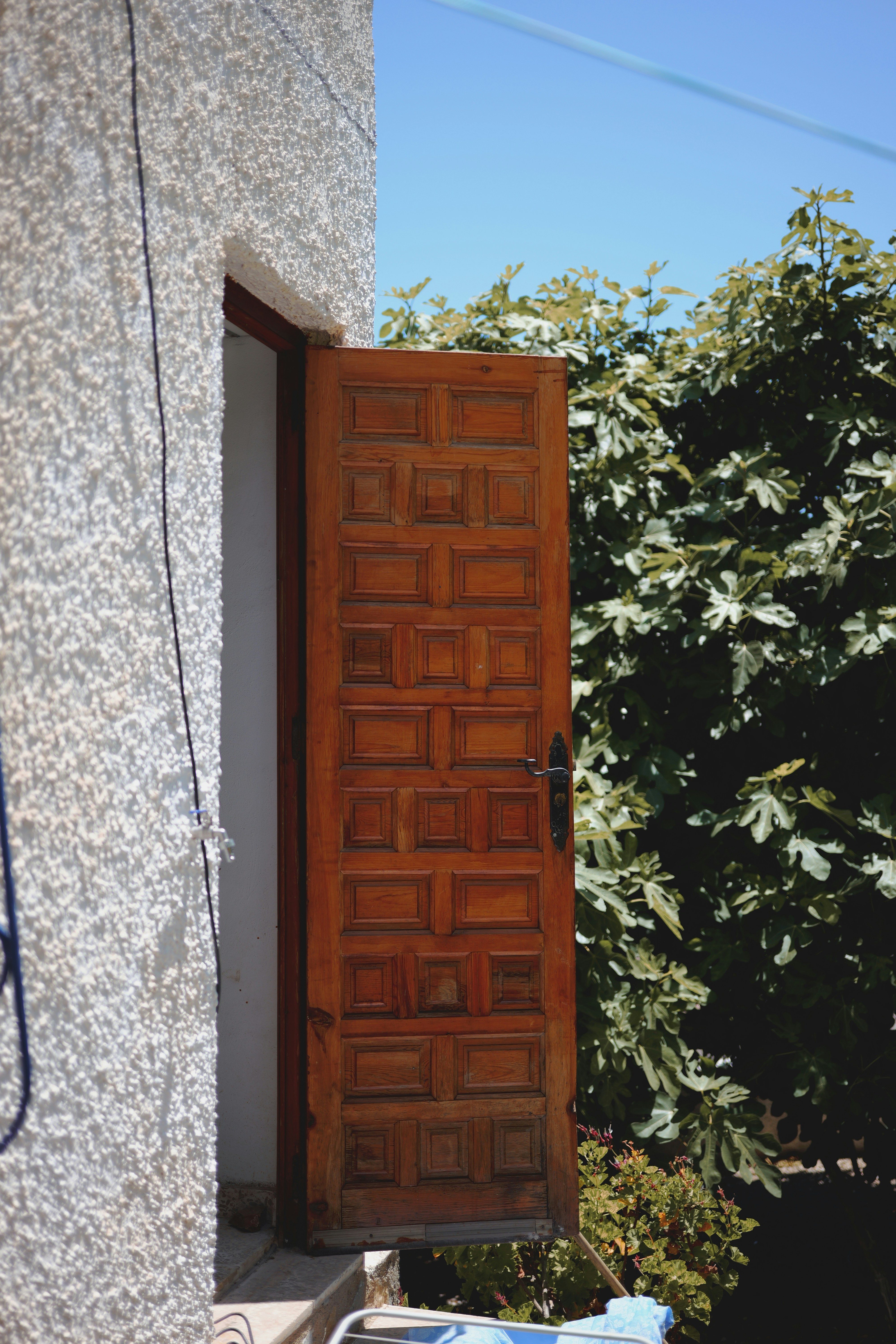 Open Wooden Door Framing a Sunlit Garden
