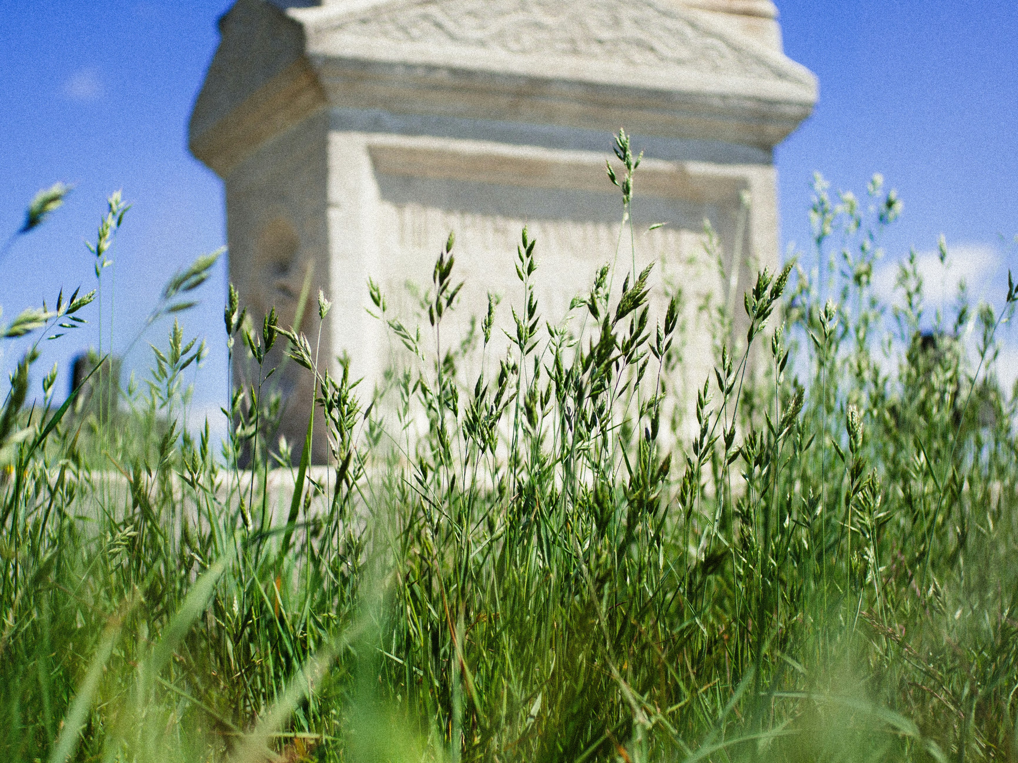 Grass in Focus, Monument in the Distance