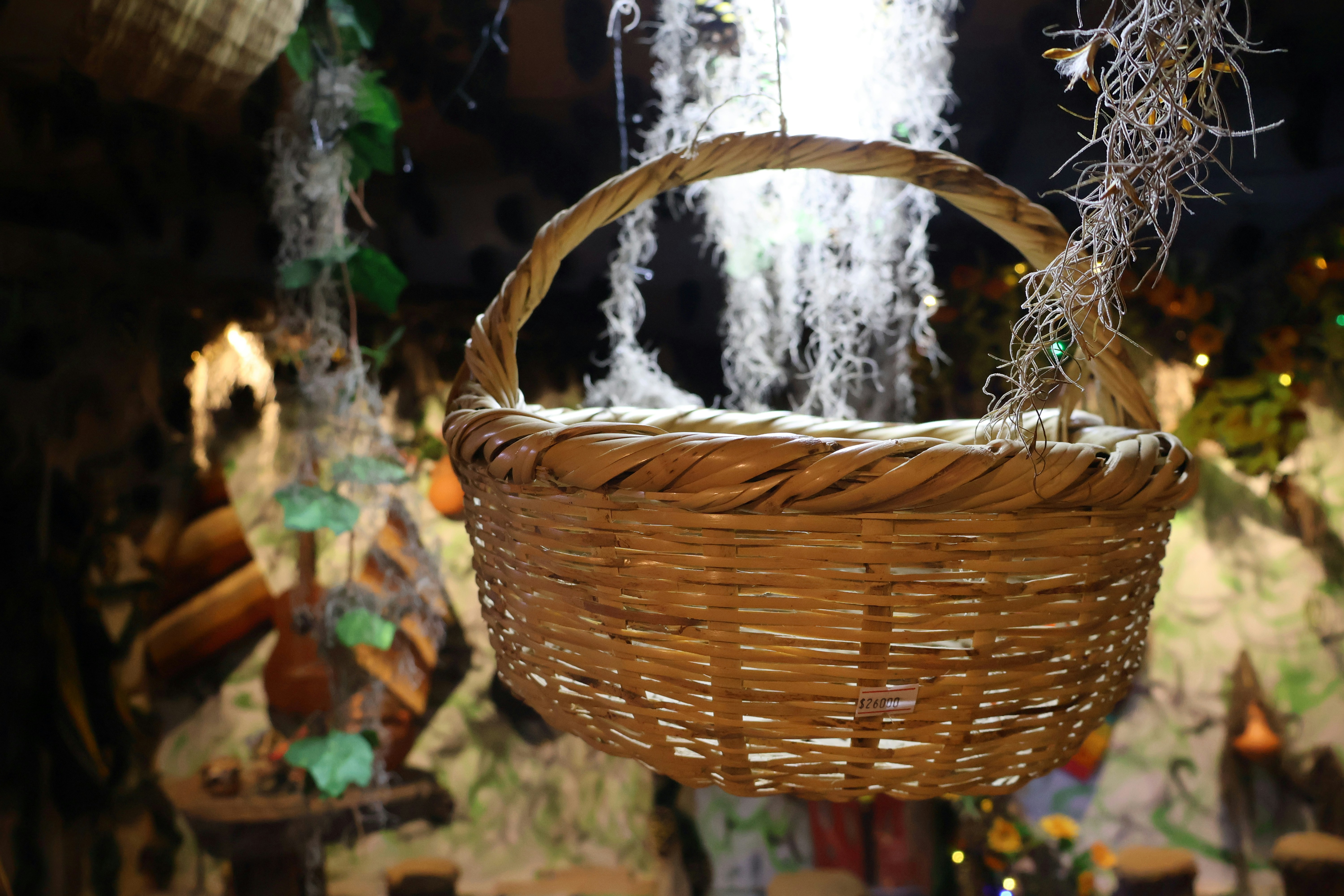 Hanging Basket Spotlight in a Dappled Garden Display