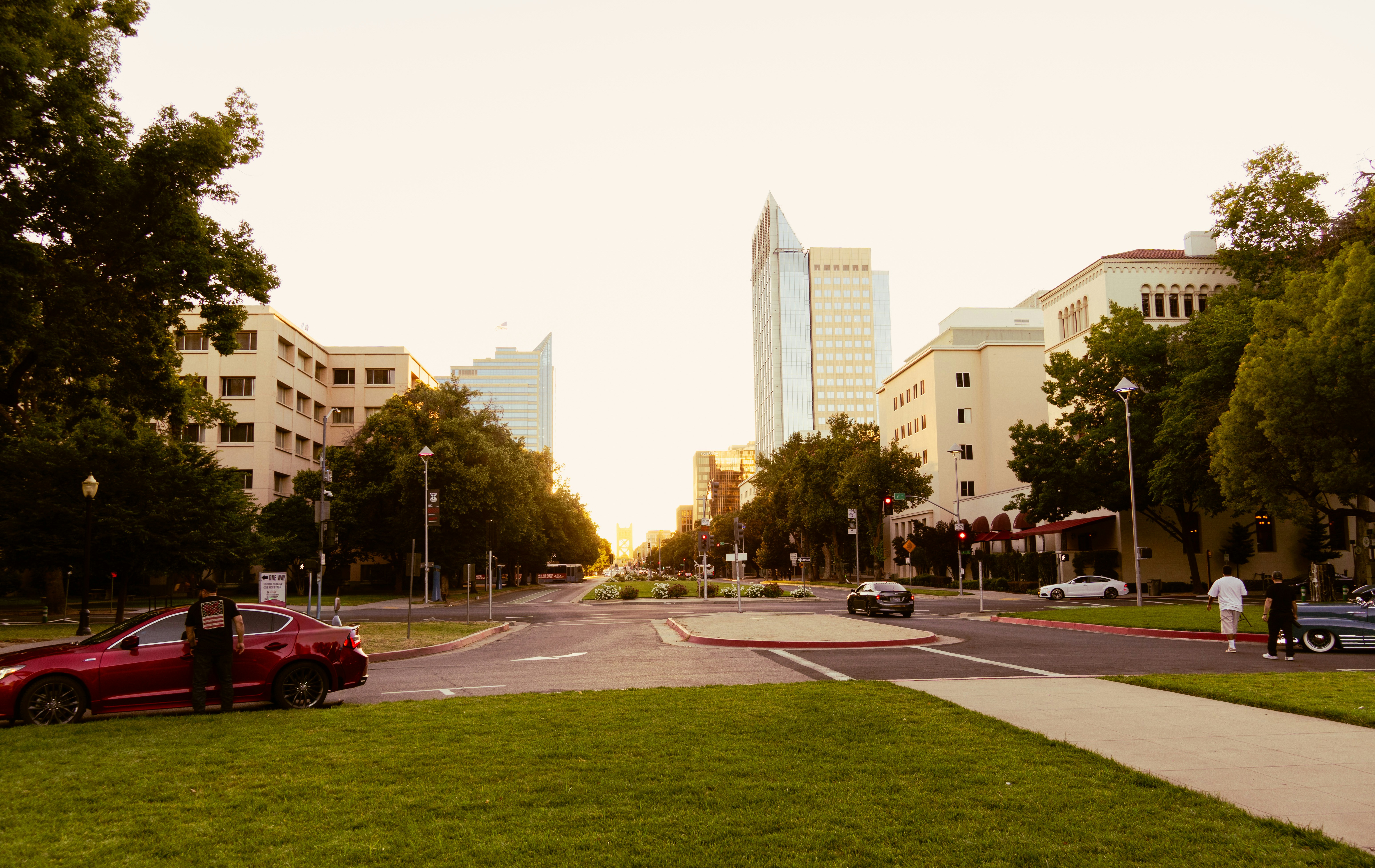 Afternoon Campus Boulevard: A Quiet Cityscape Opening to Golden Light