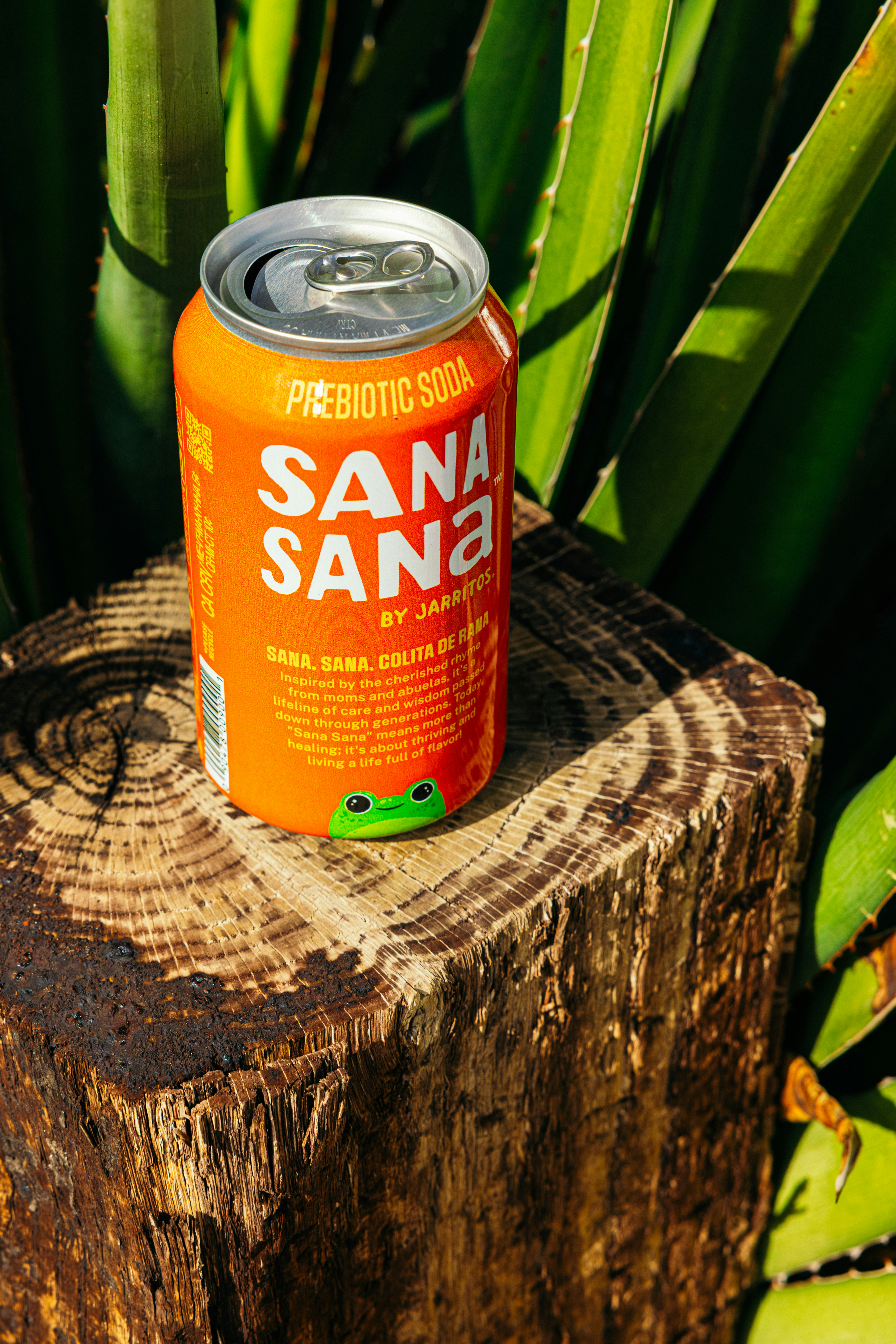 Bright Orange Soda Can on Weathered Tree Stump Amid Stand of Green Leaves