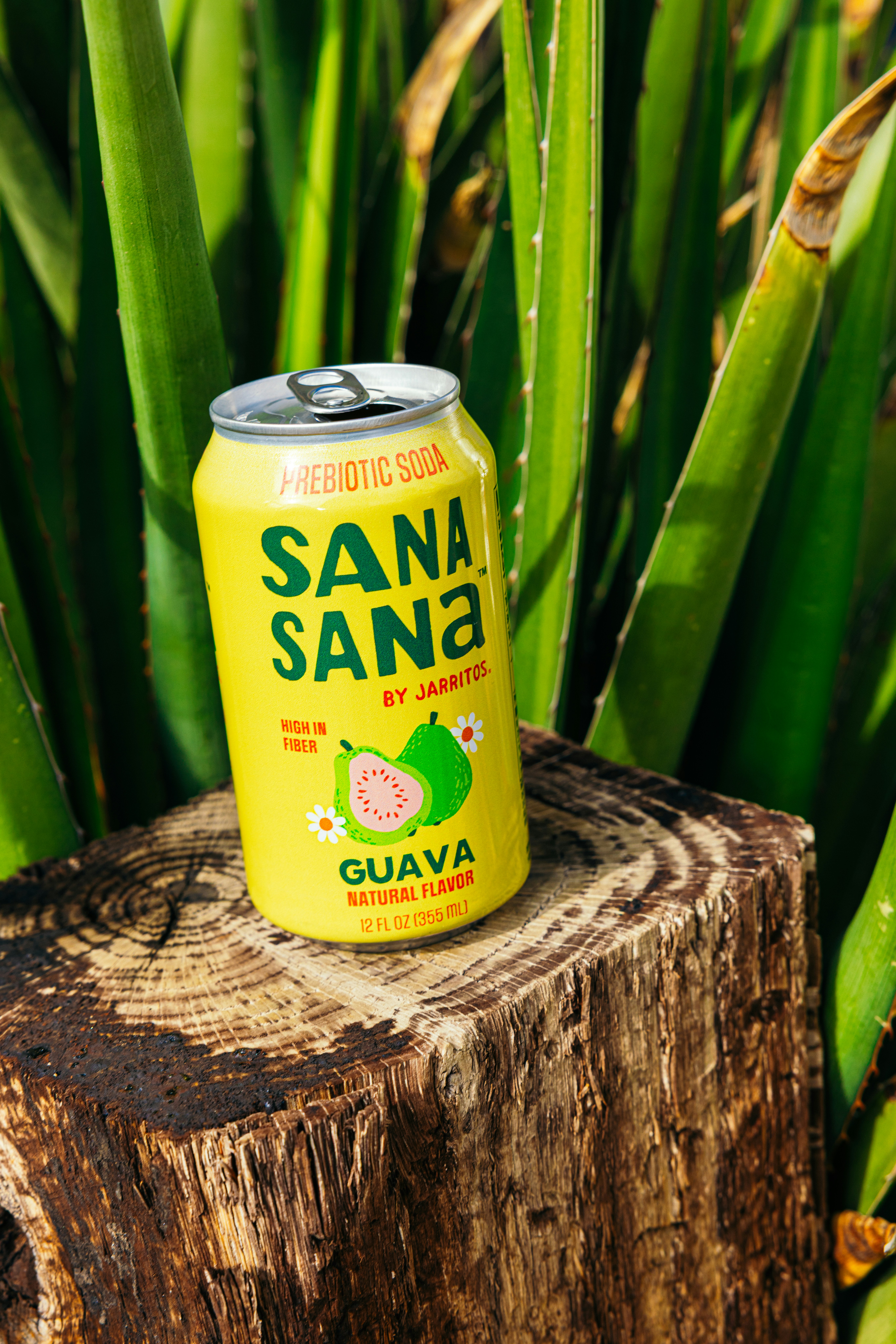 Citrus Summer: a yellow Sana Sana can rests on a log stump among green reeds
