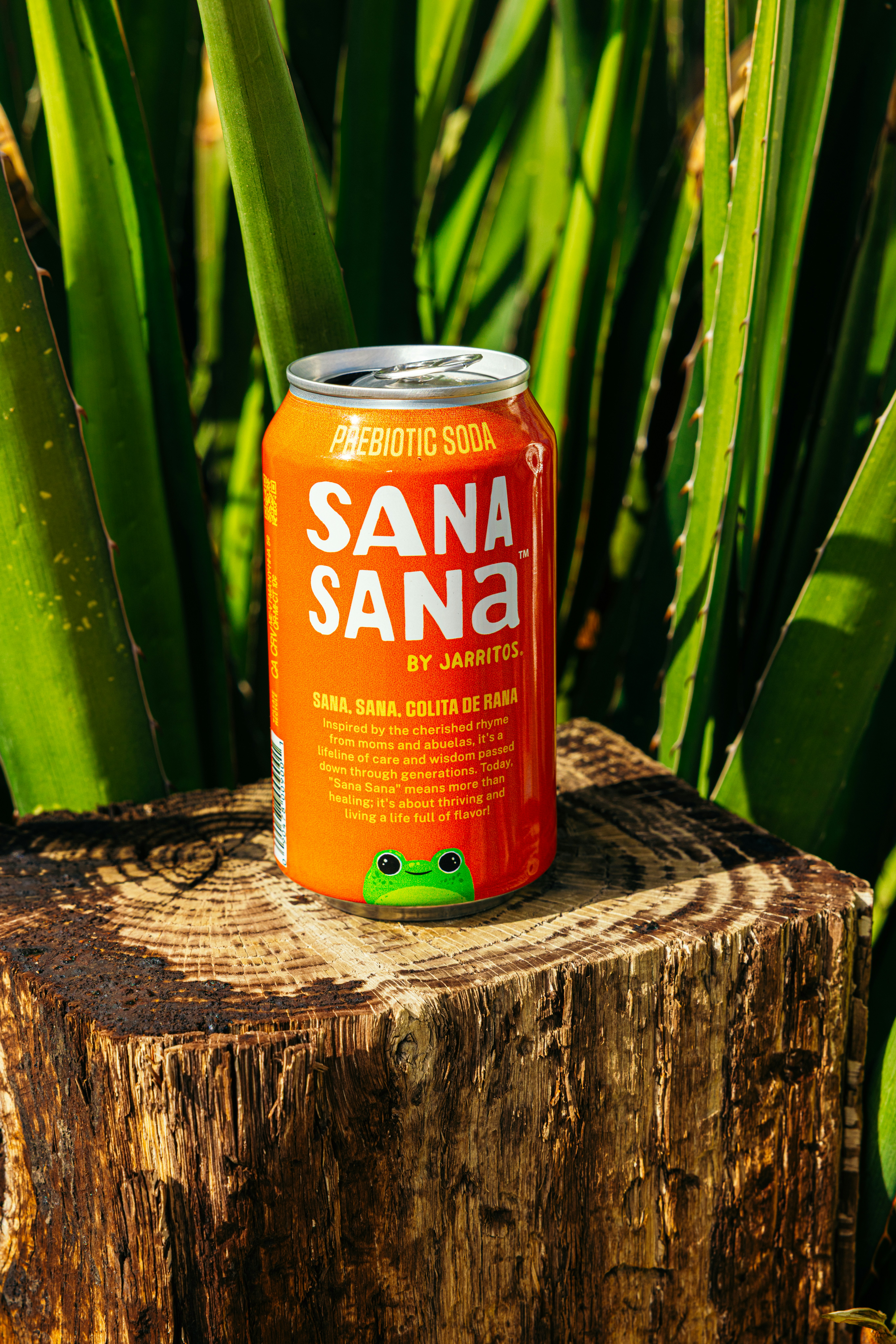 Citrus Can of Citrus: SANA SANA on a Weathered Stump
