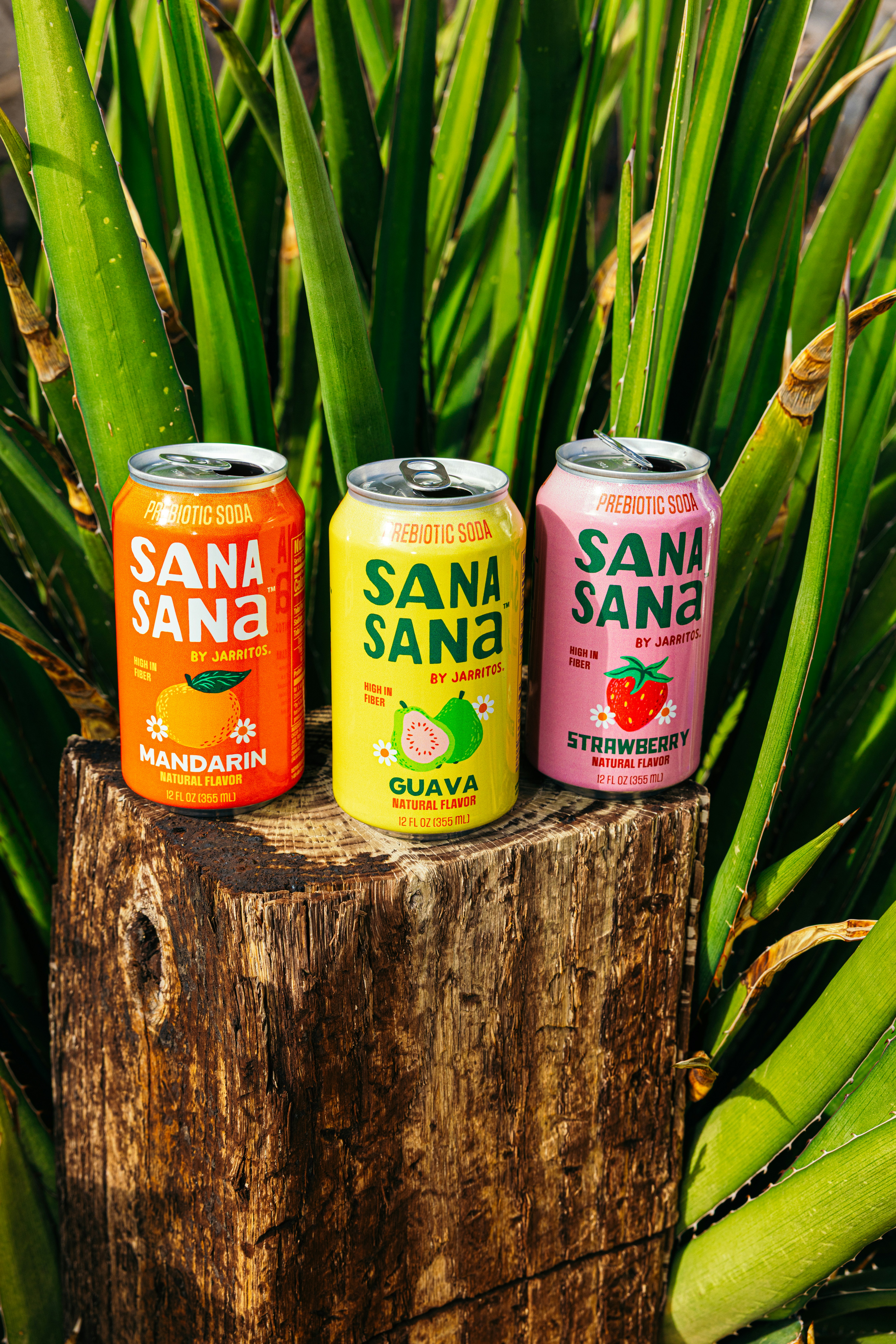 Three Citrus Sodas Resting on a Weathered Log Amid Tall Green Foliage