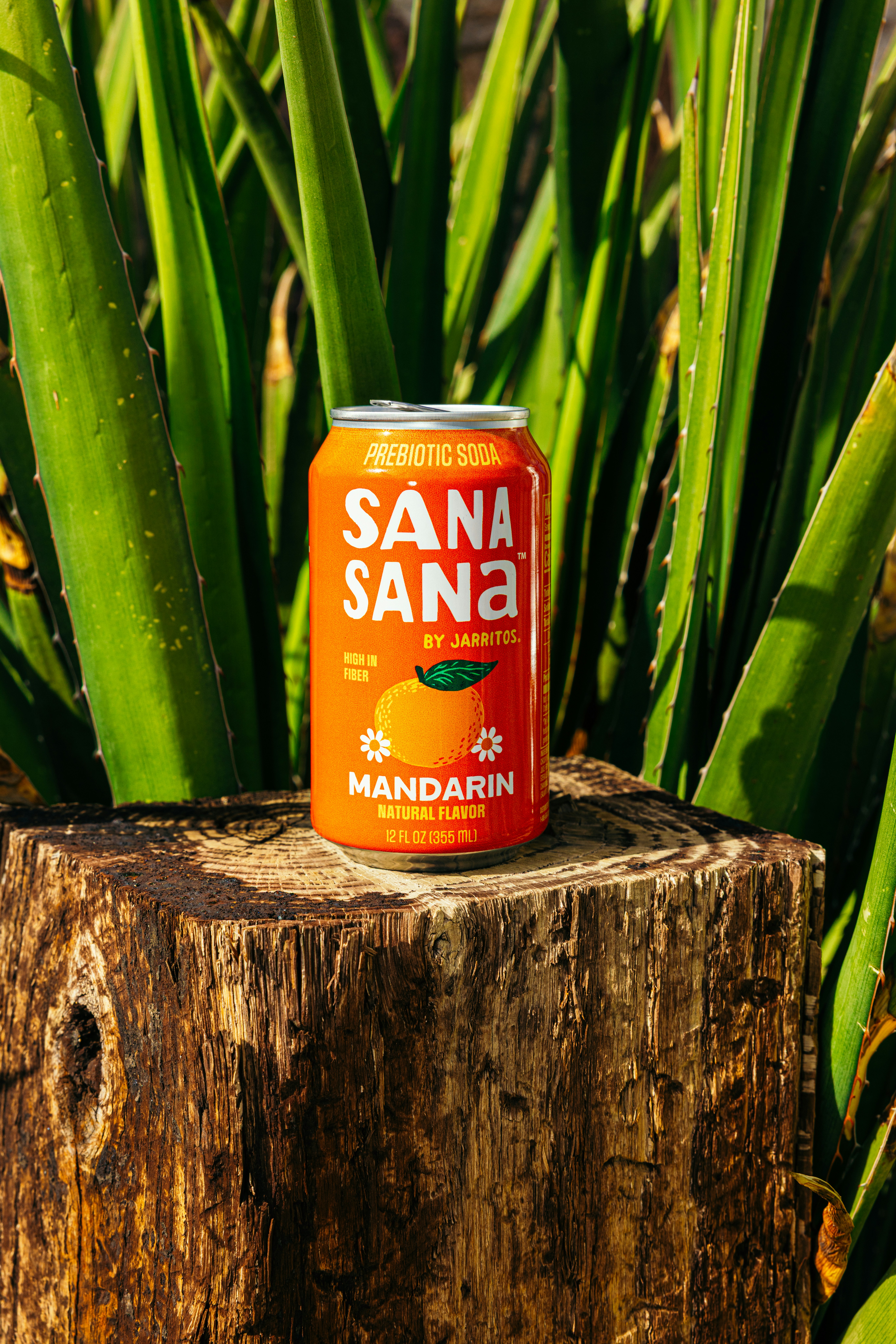 Sana Sana Citrus Glow: Can on a Weathered Stump